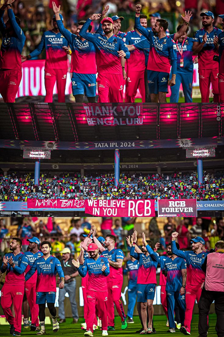 RCB Cup Wallpapers - Wallpaper Cave