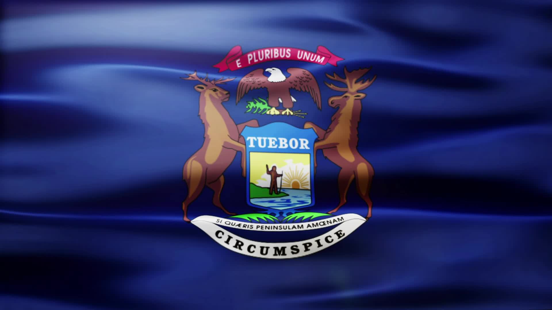 Michigan Flag Wallpapers - Wallpaper Cave