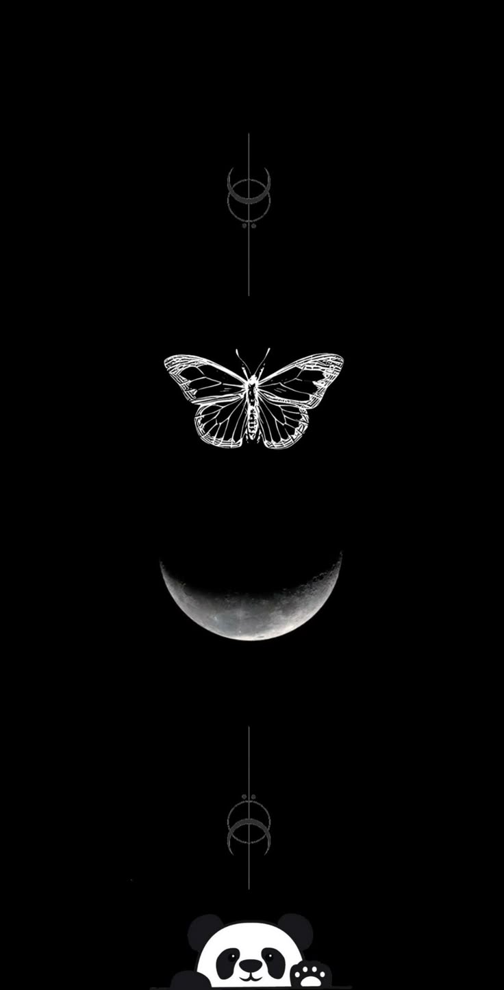 Moon Butterfly Wallpapers - Wallpaper Cave