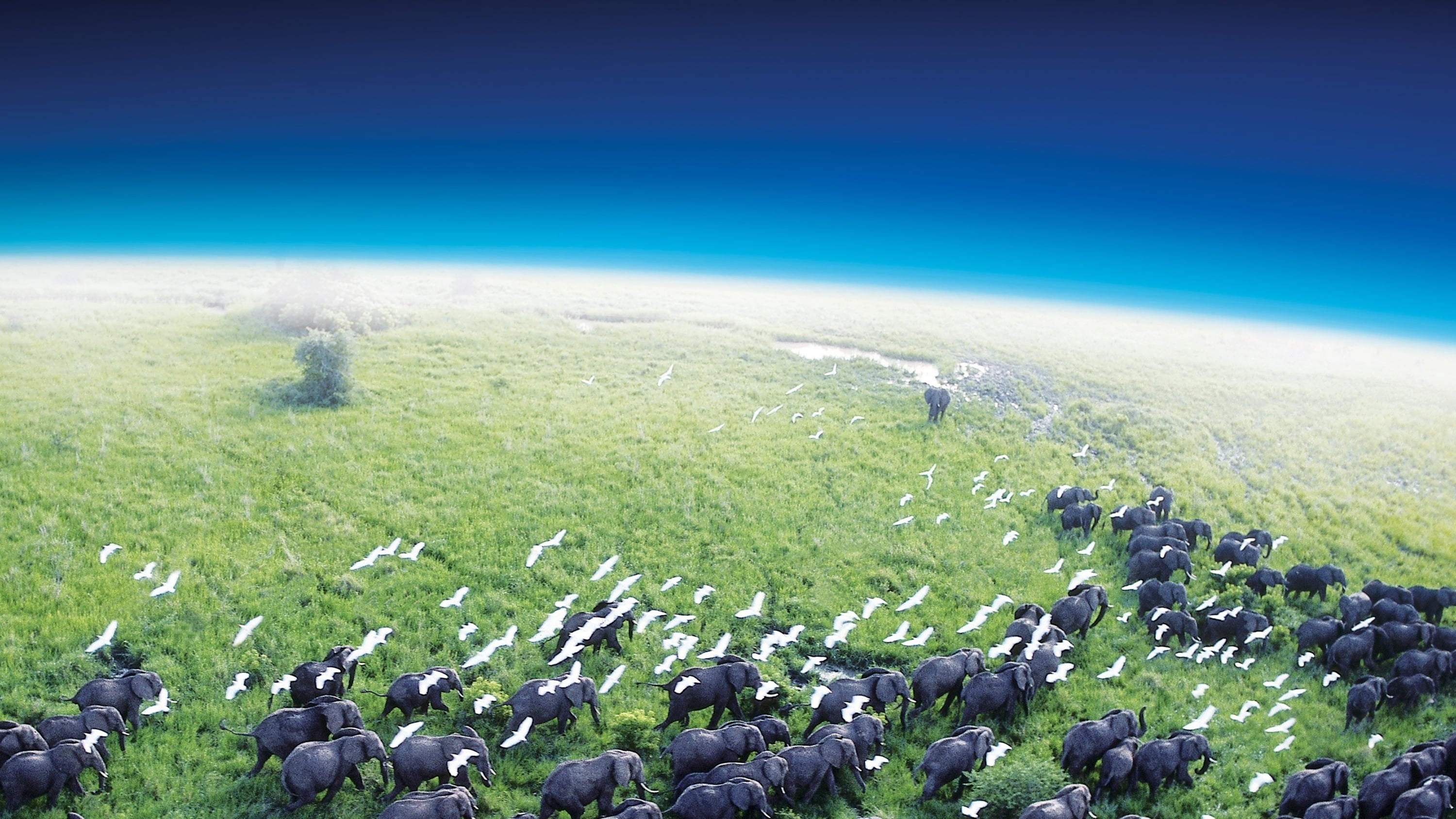 BBC Earth Wallpapers - Wallpaper Cave