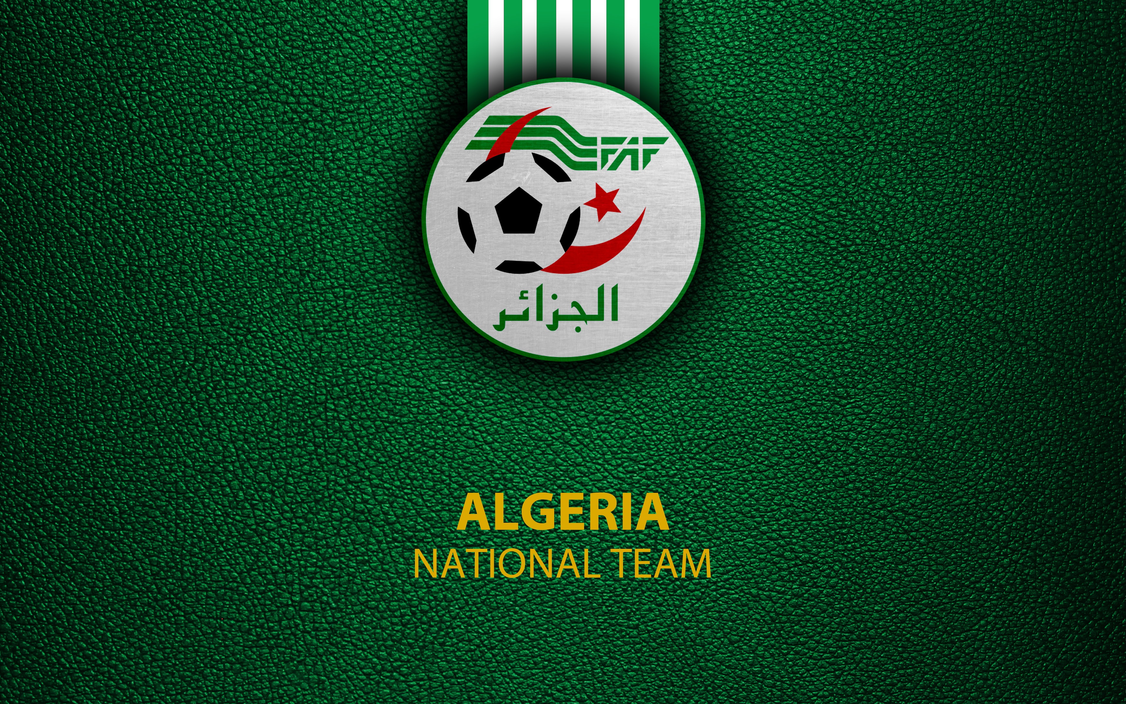 Algeria National Football Team Wallpapers - Wallpaper Cave