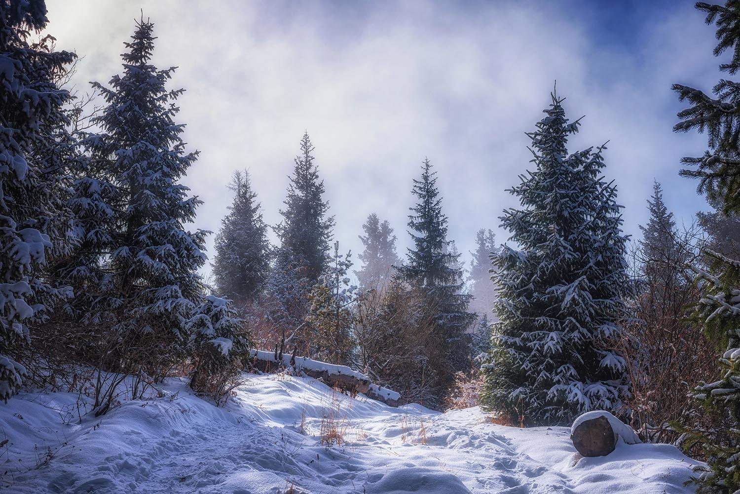 Winter Feeling Wallpapers - Wallpaper Cave