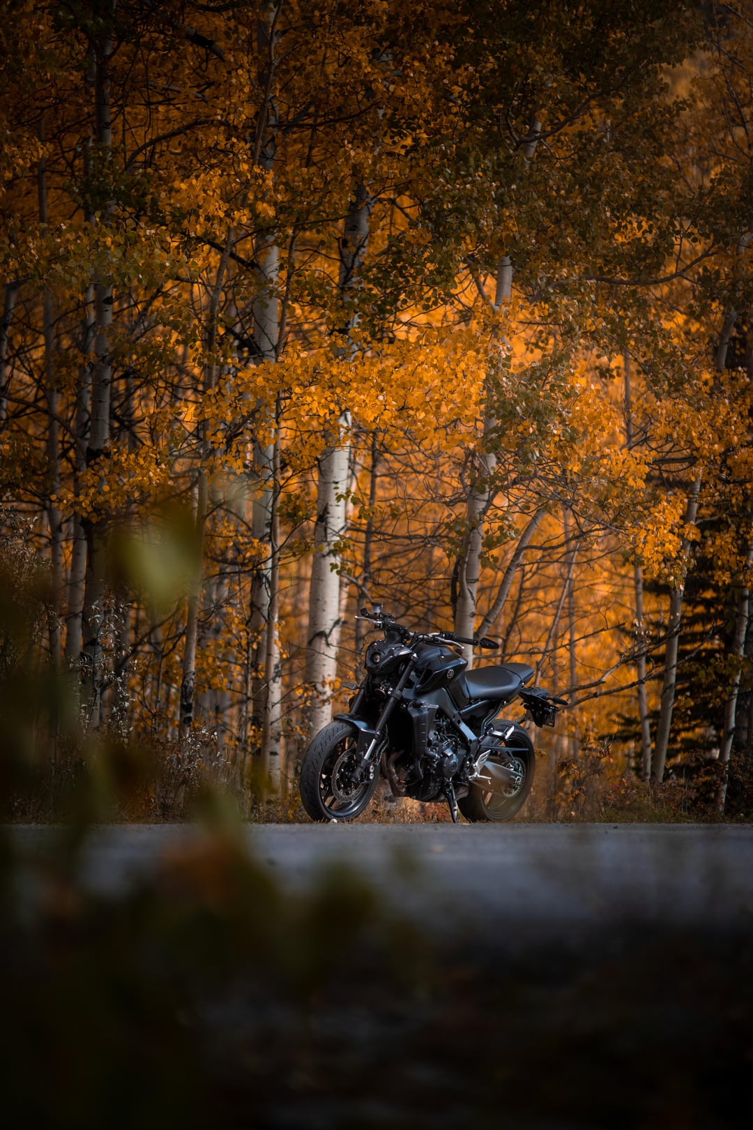 Autumn Motorcycle Wallpapers - Wallpaper Cave