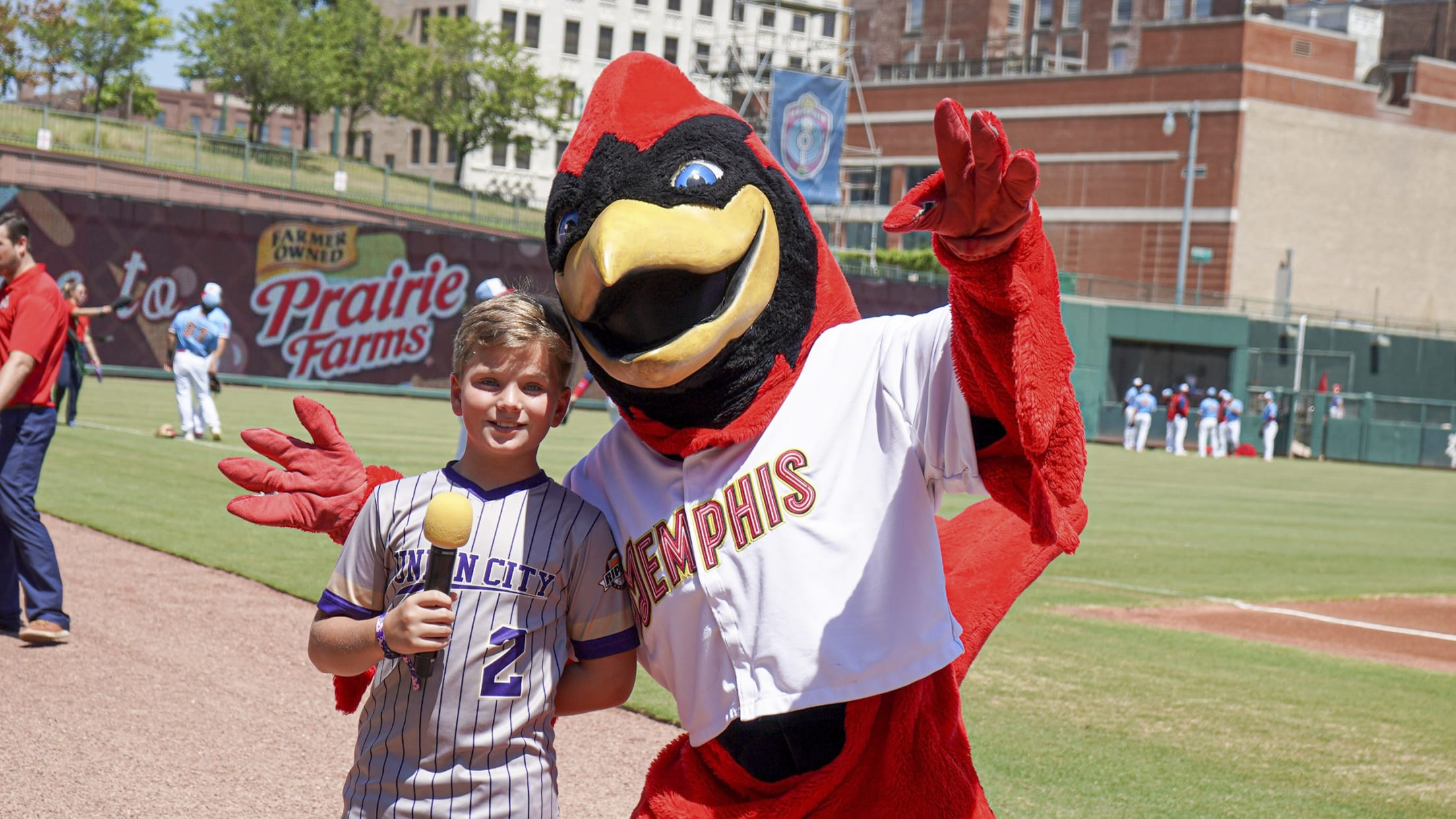 Memphis Redbirds Wallpapers - Wallpaper Cave