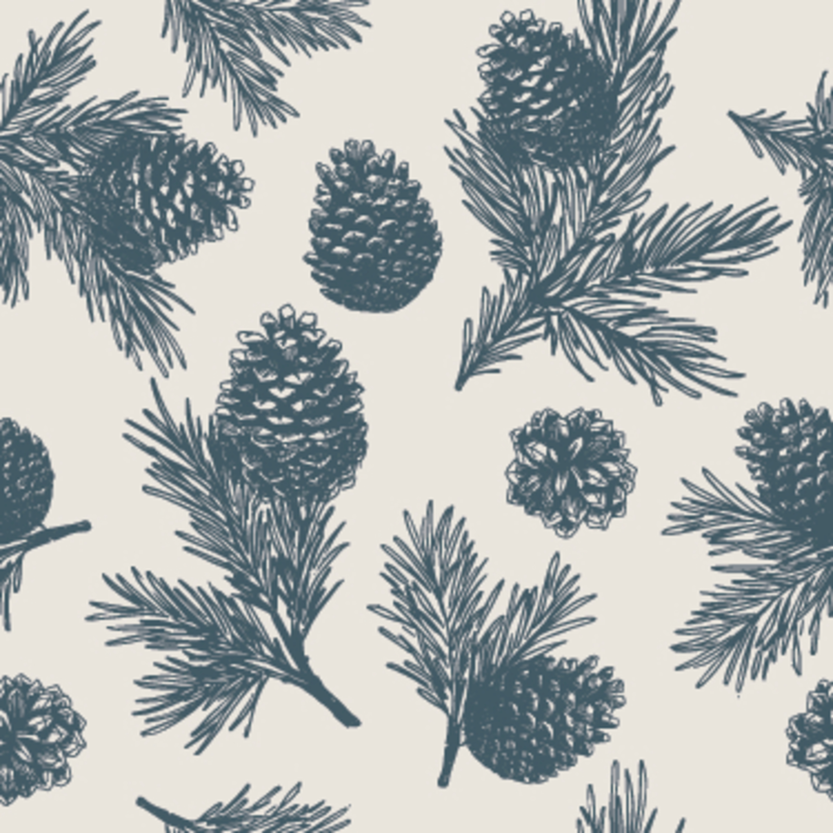 Winter Pincones Wallpapers - Wallpaper Cave