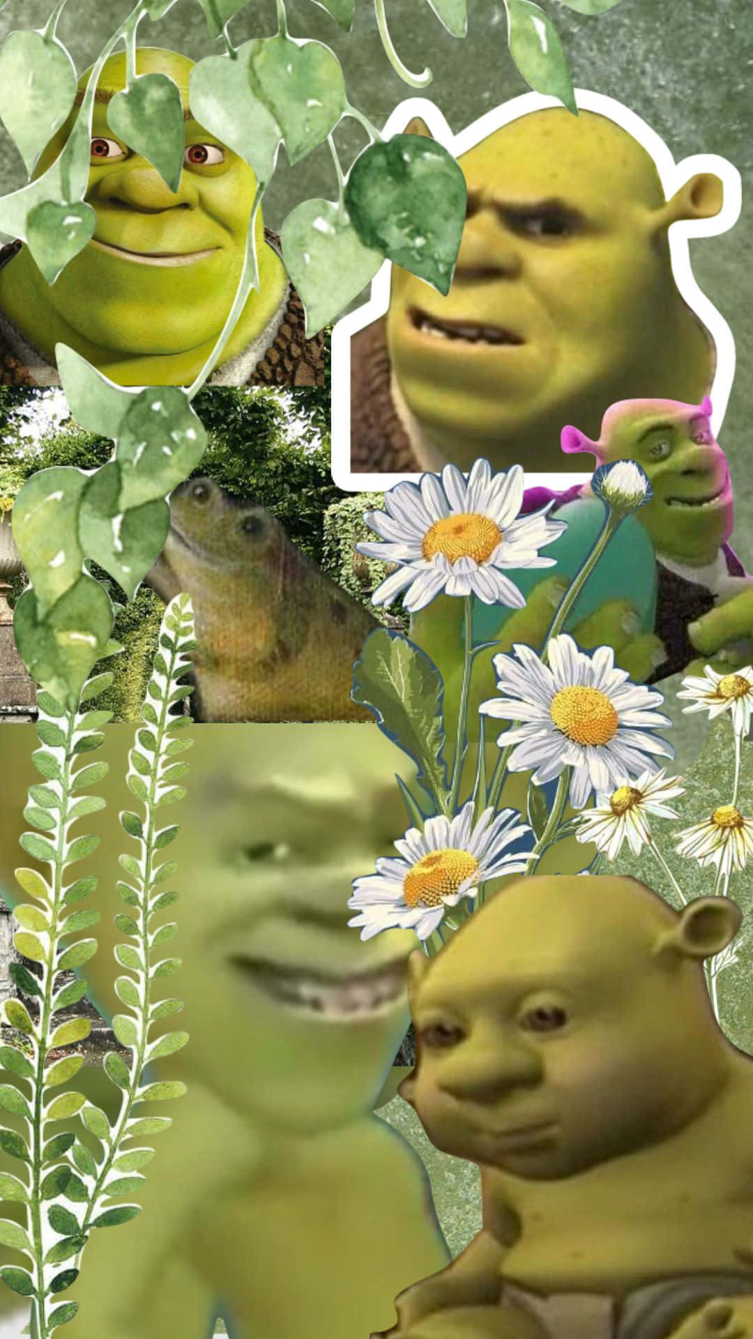Shrek Collage Wallpapers - Wallpaper Cave