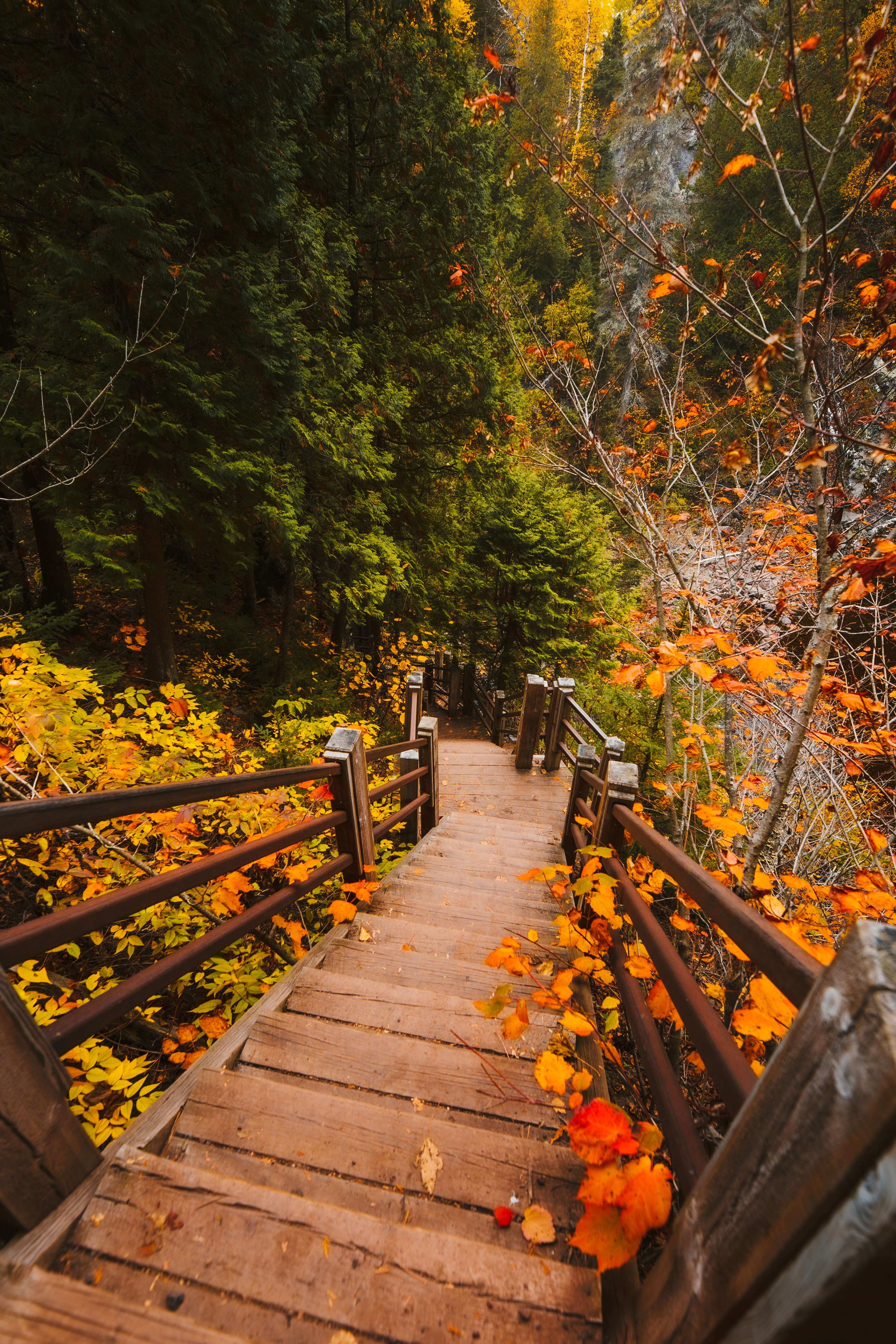 Vertical Autumn Dark Wallpapers - Wallpaper Cave