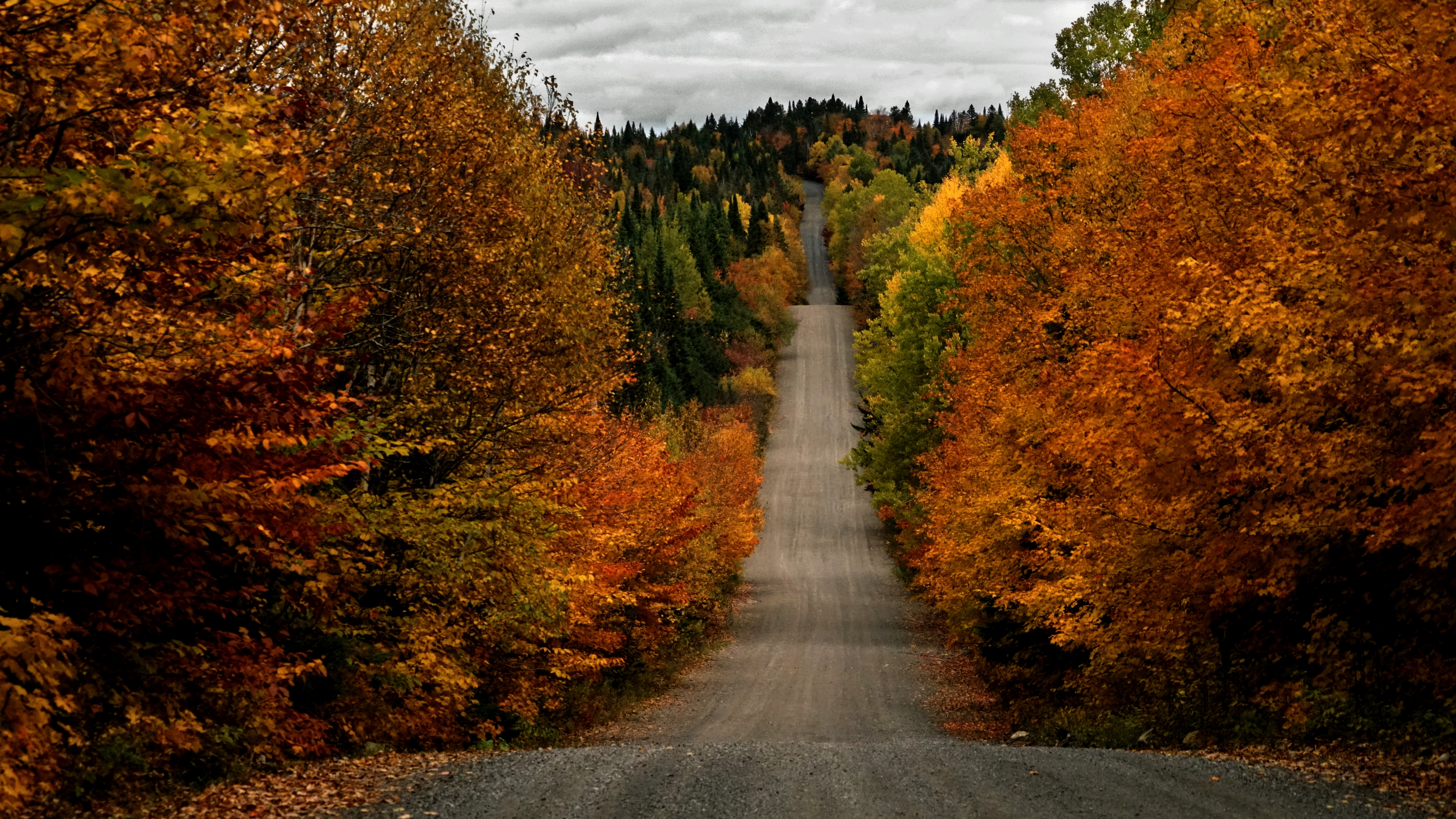 Canada Fall Wallpapers - Wallpaper Cave