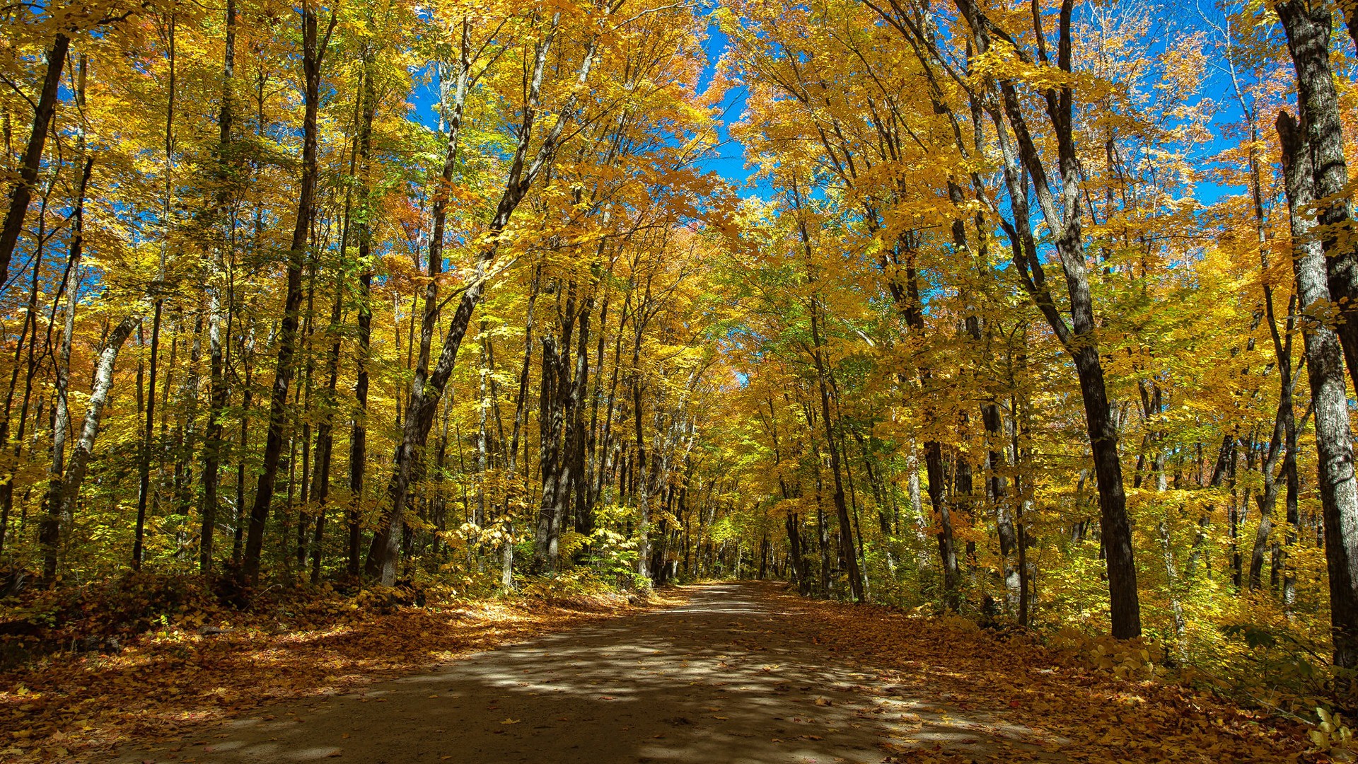 Canada Fall Wallpapers - Wallpaper Cave