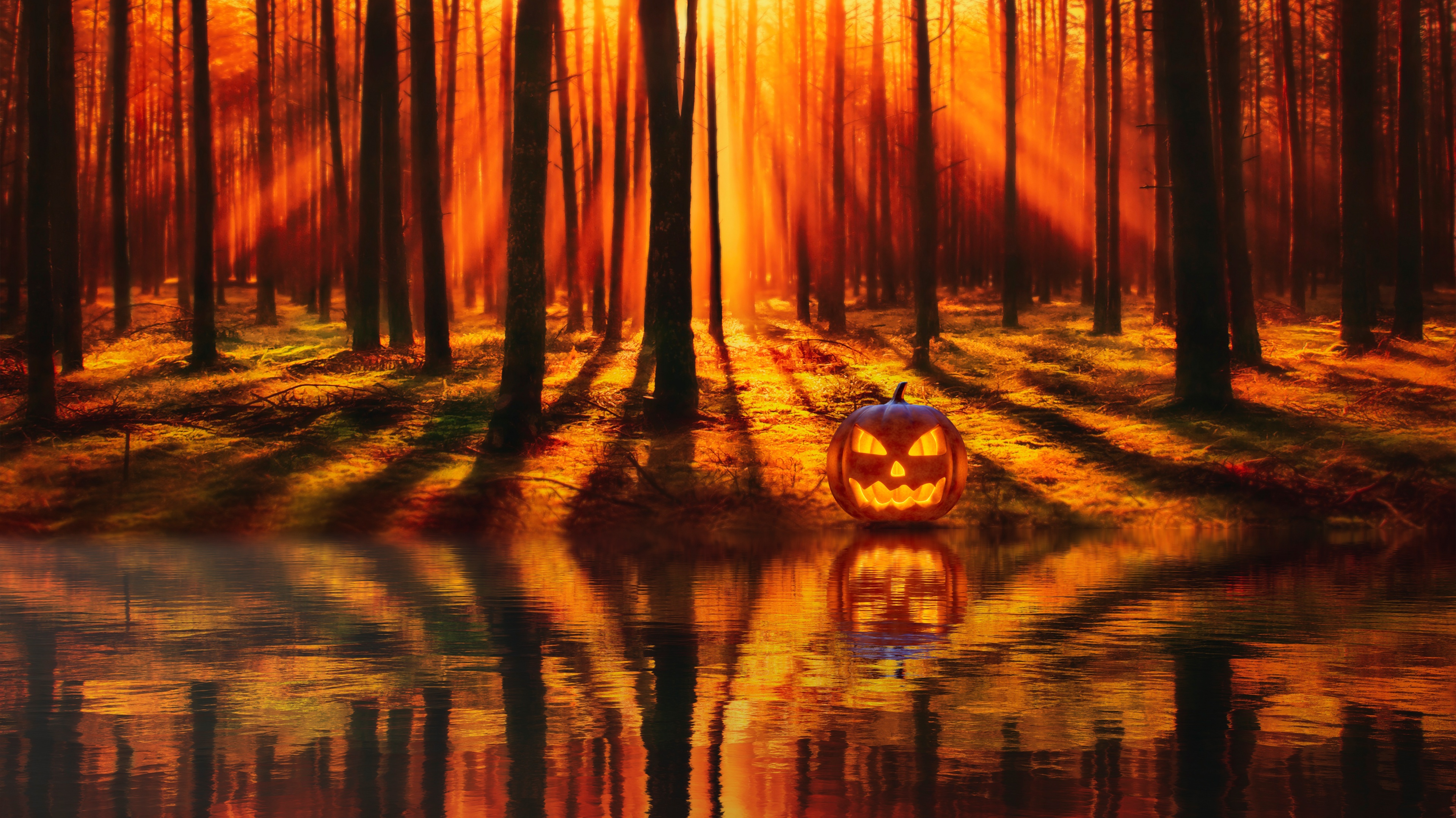 Forest Halloween 4k Wallpapers - Wallpaper Cave