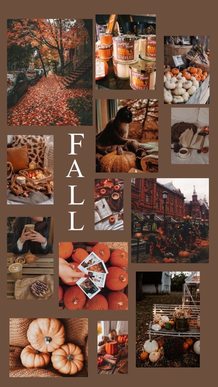 Autumn Aesthetic 2025 Wallpapers - Wallpaper Cave