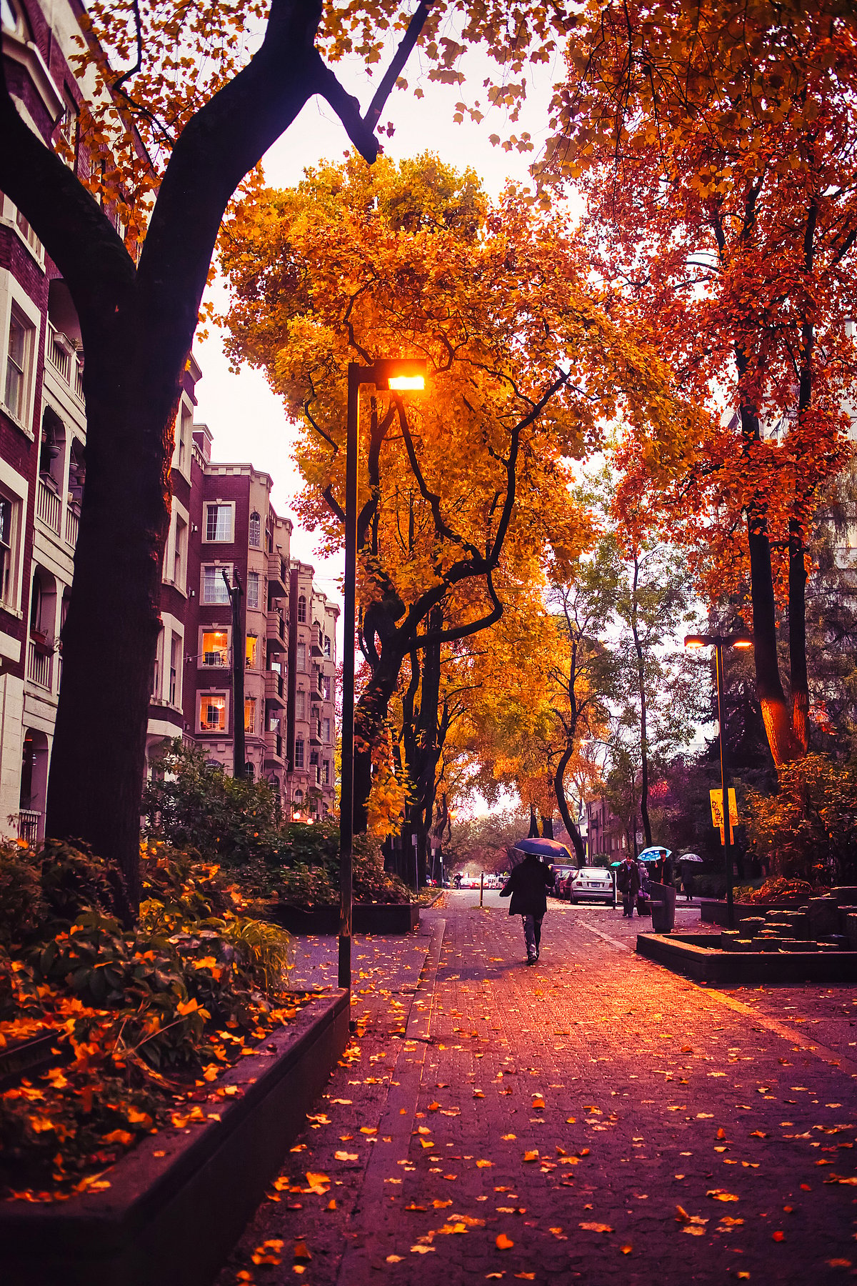 Autumn Cityscape Wallpapers - Wallpaper Cave