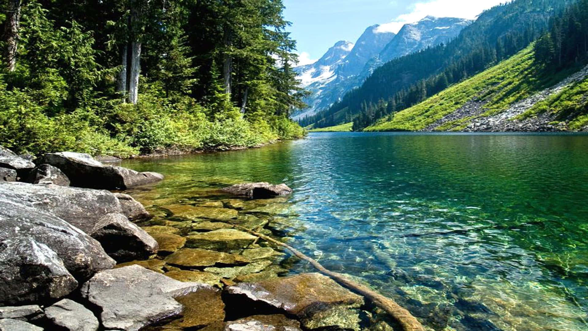 Water Nature Wallpapers - Wallpaper Cave