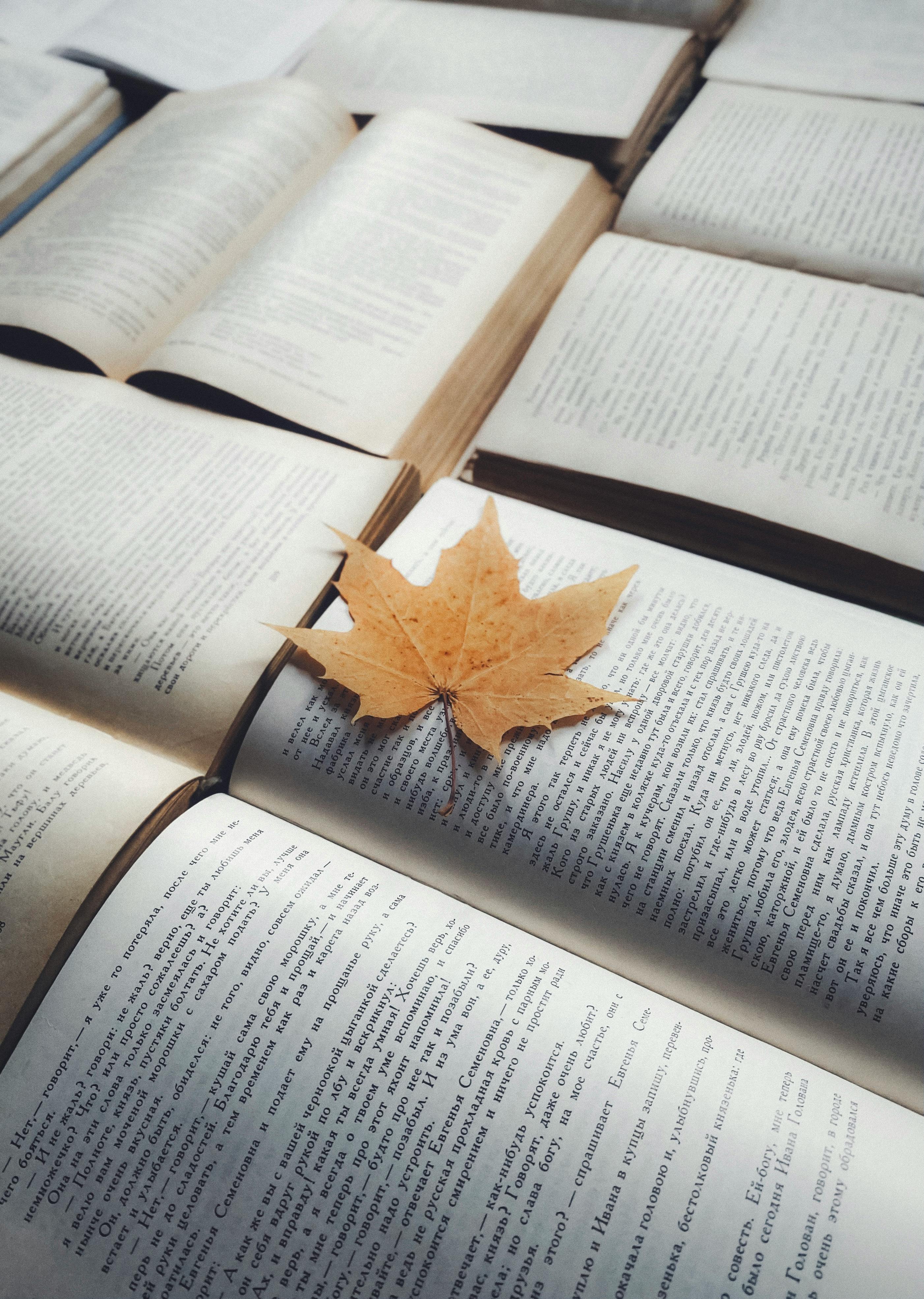 Autumn Study Vibes Wallpapers - Wallpaper Cave