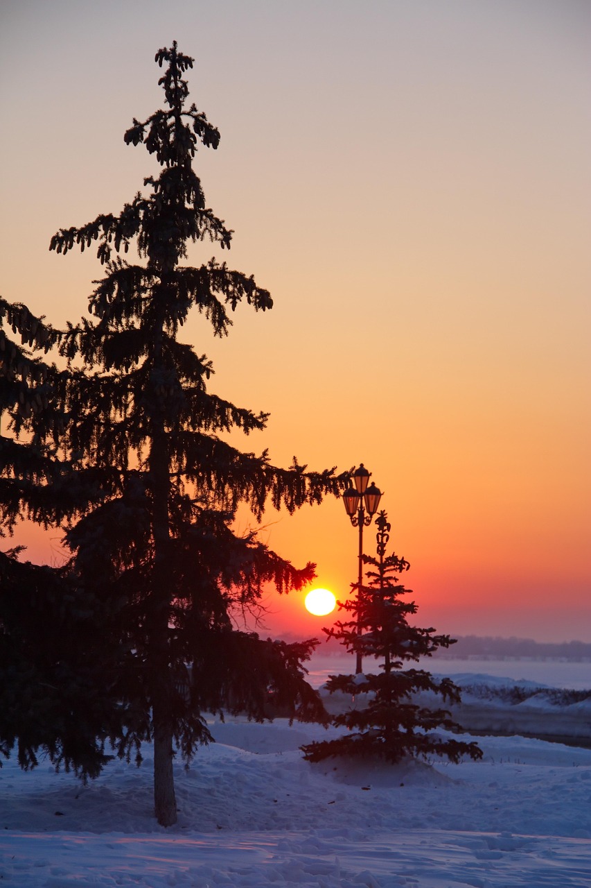 Winter Sunset Tree Wallpapers - Wallpaper Cave