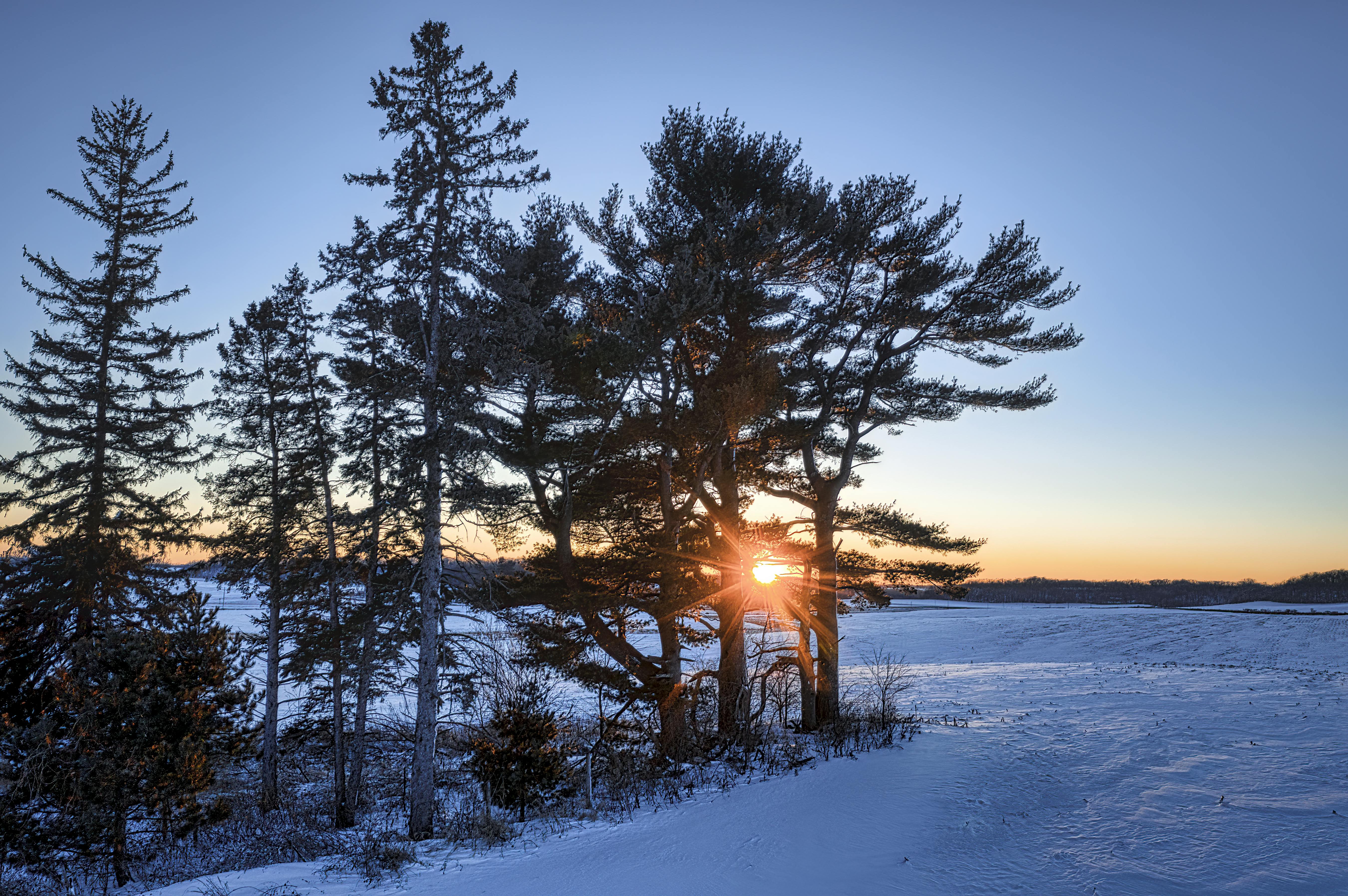 Winter Sunset Tree Wallpapers - Wallpaper Cave