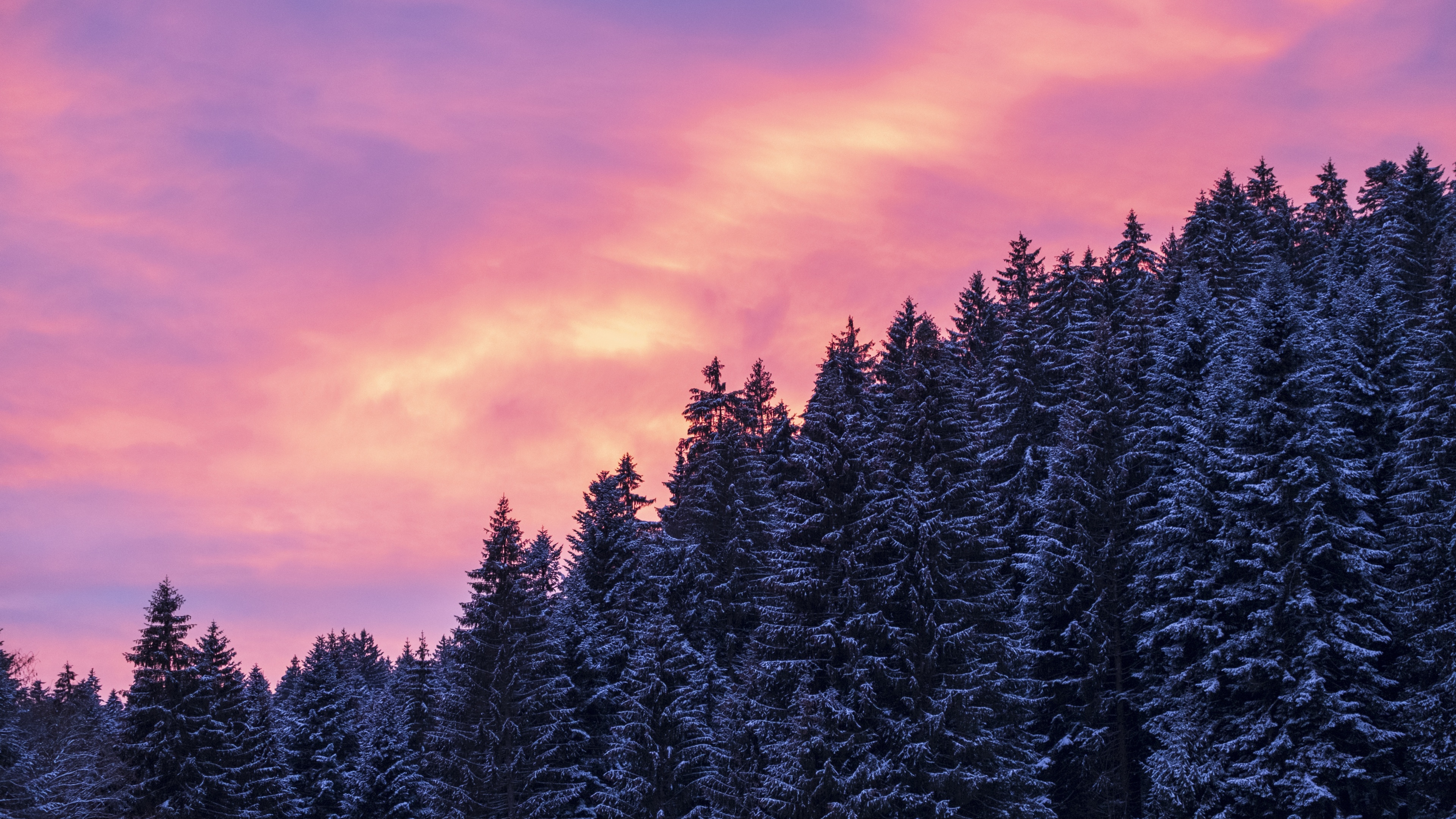 Winter Sunset Tree Wallpapers - Wallpaper Cave