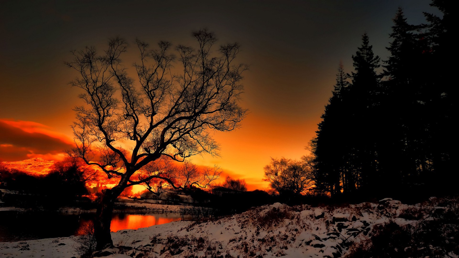 Winter Sunset Tree Wallpapers - Wallpaper Cave