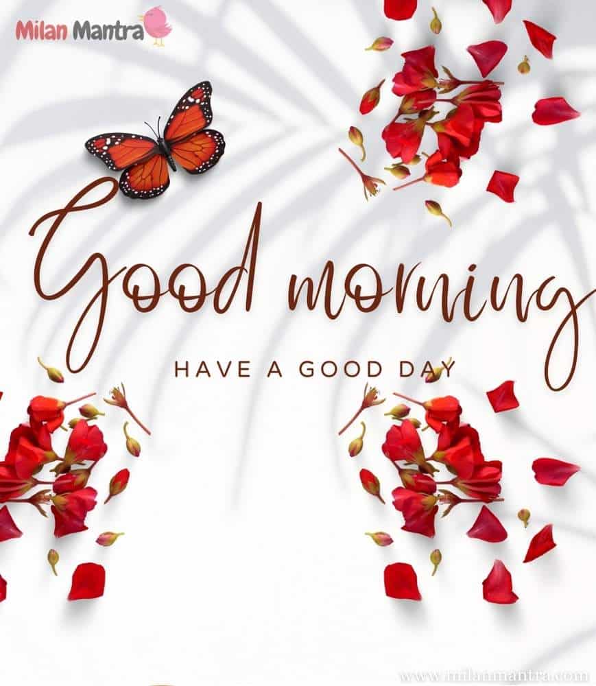 Good Morning Dear Wallpapers - Wallpaper Cave
