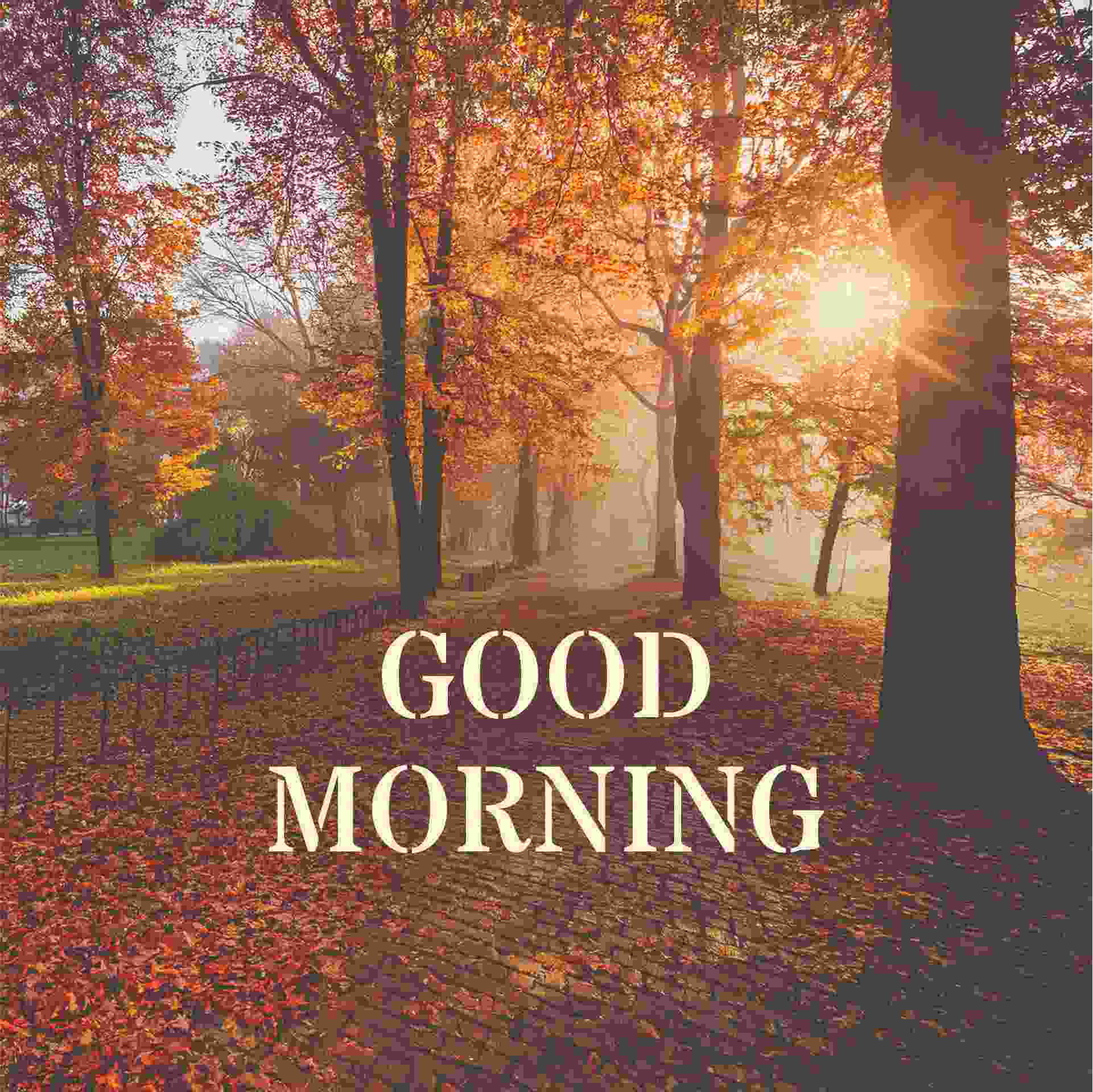 Good Morning Dear Wallpapers - Wallpaper Cave