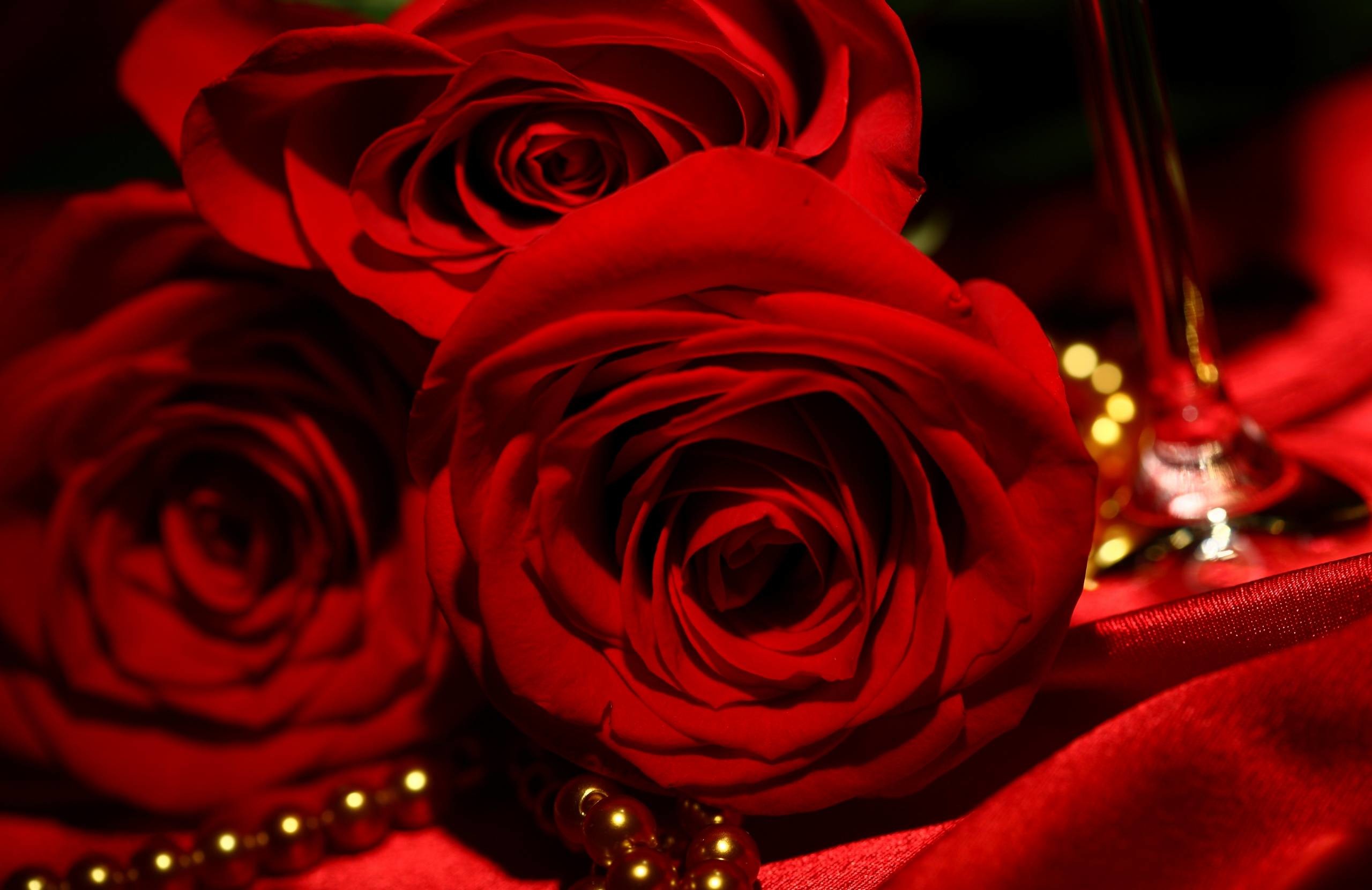 Dark Red Roses Desktop Wallpapers - Wallpaper Cave