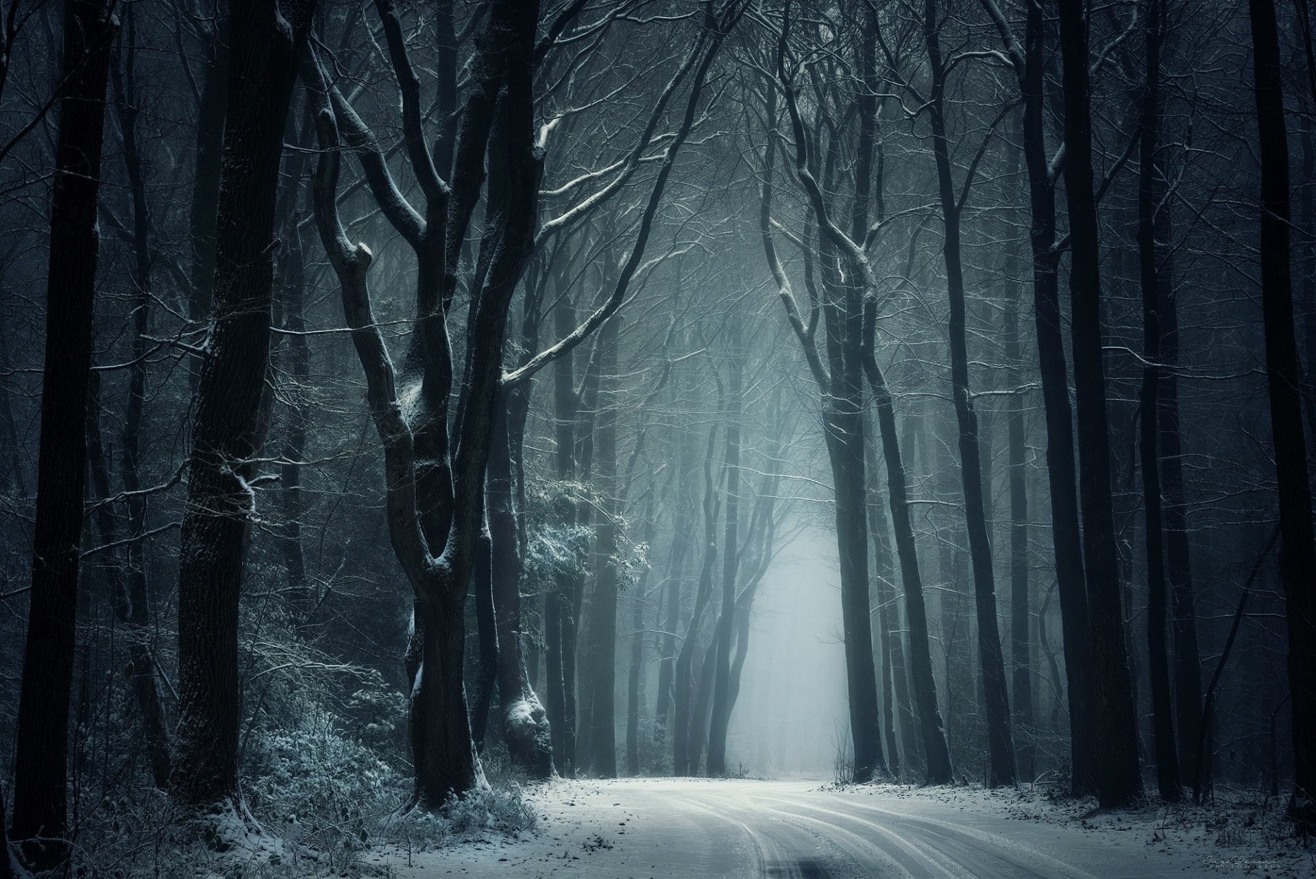 Foggy Winter Forest Dark Wallpapers - Wallpaper Cave