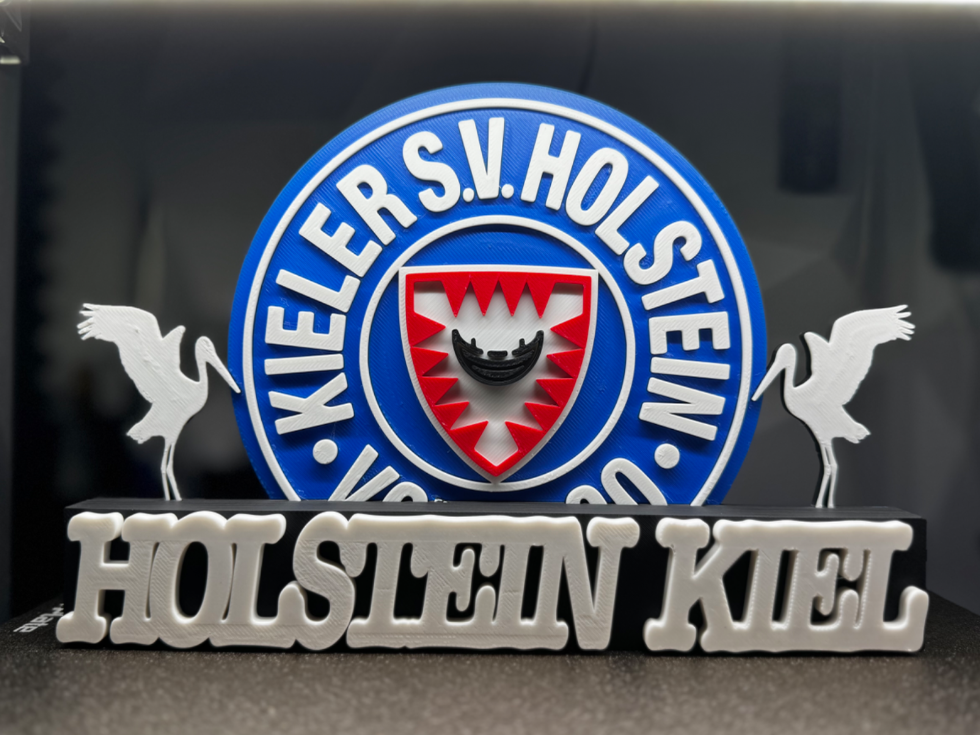 Holstein Kiel Wallpapers - Wallpaper Cave