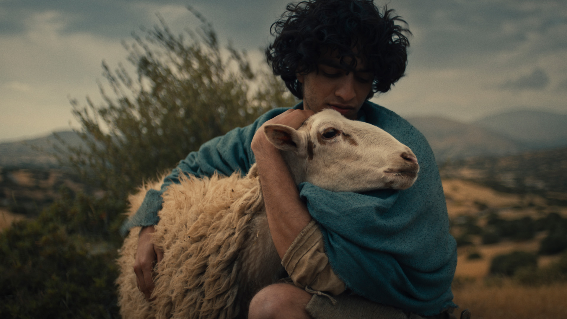 House Of David Wallpapers - Wallpaper Cave