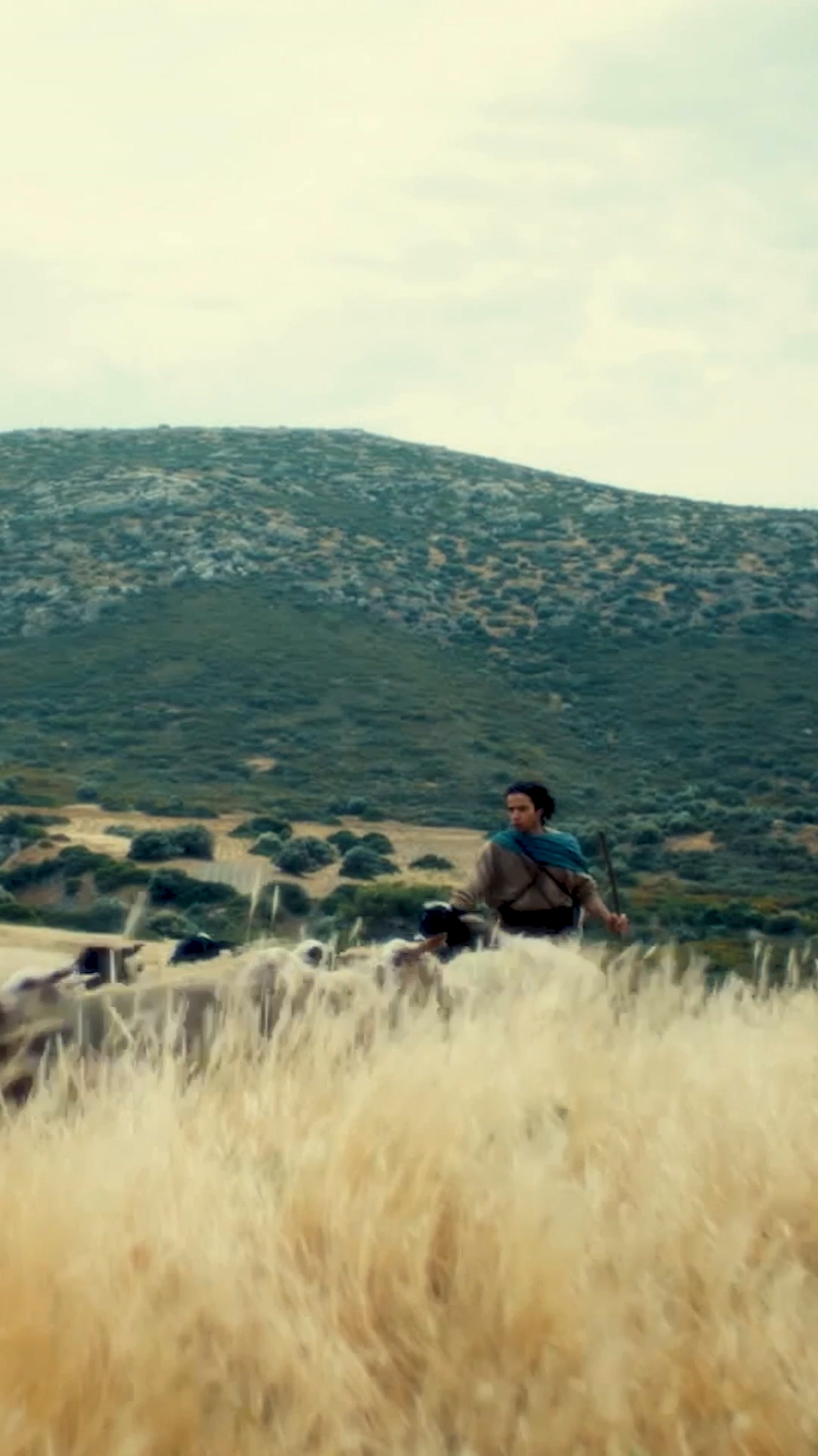 House Of David Wallpapers - Wallpaper Cave