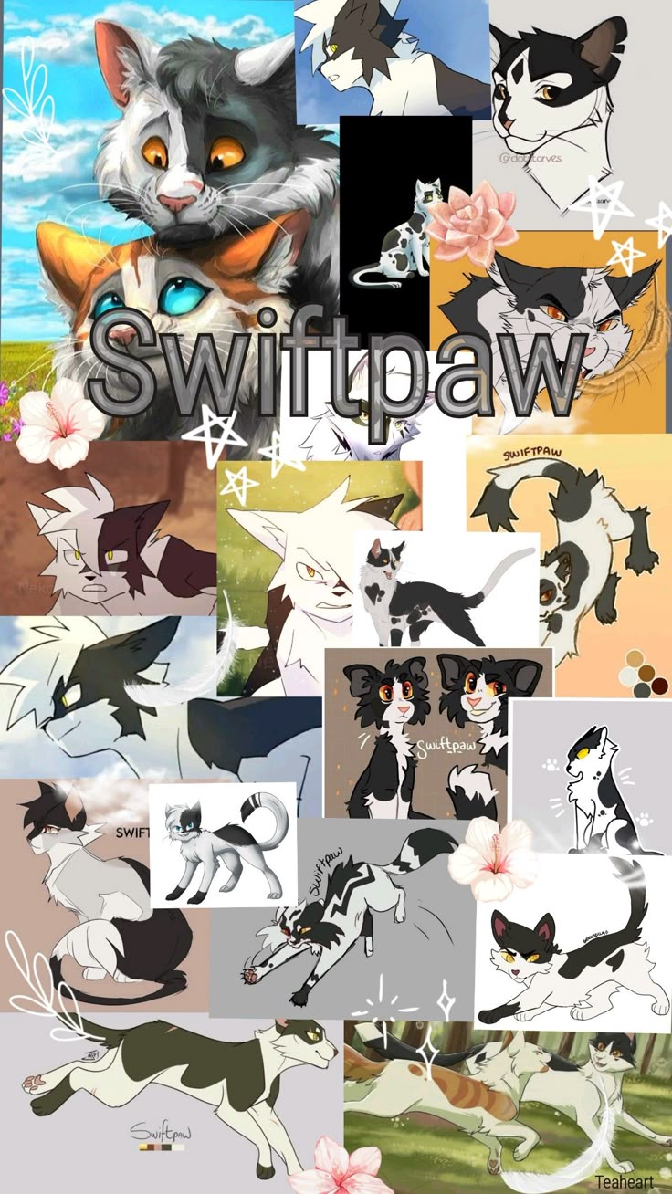 Swiftpaw Wallpapers - Wallpaper Cave