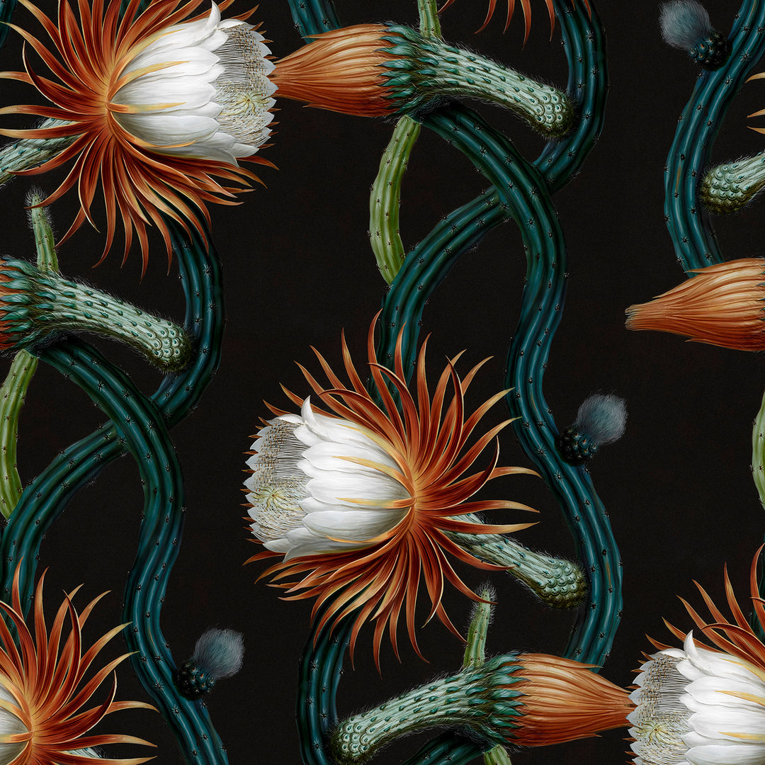 Night Queen Wallpapers - Wallpaper Cave