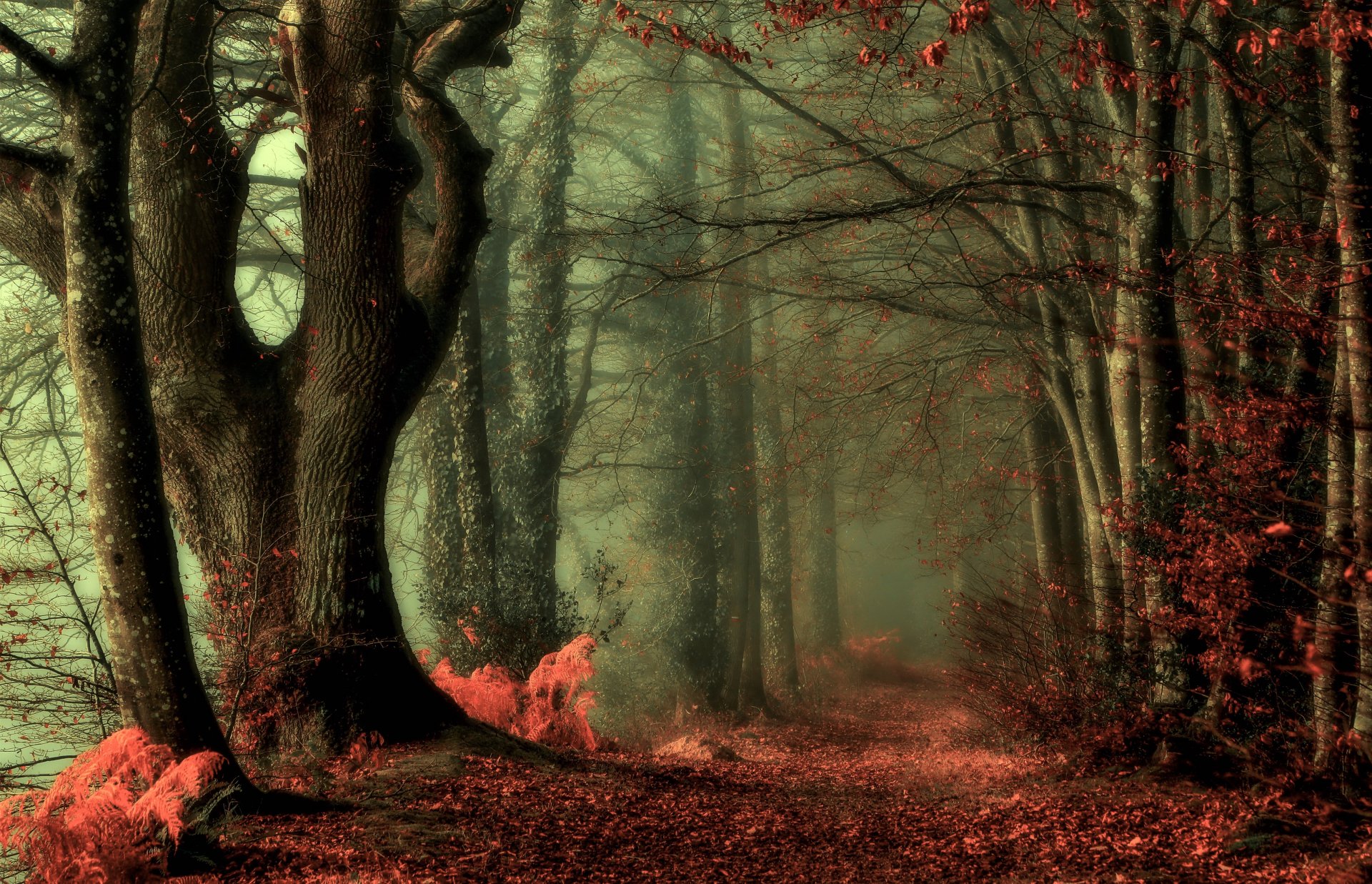 Enchanted Autumn Wallpapers - Wallpaper Cave
