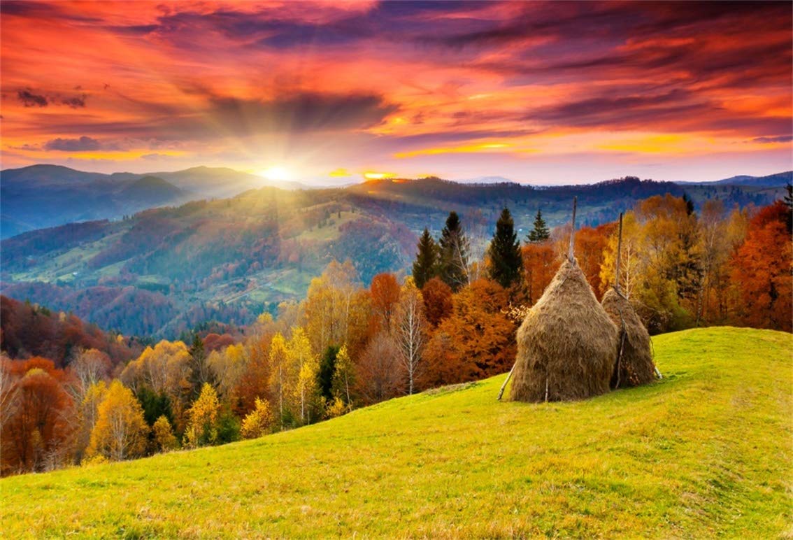 Enchanted Autumn Wallpapers - Wallpaper Cave