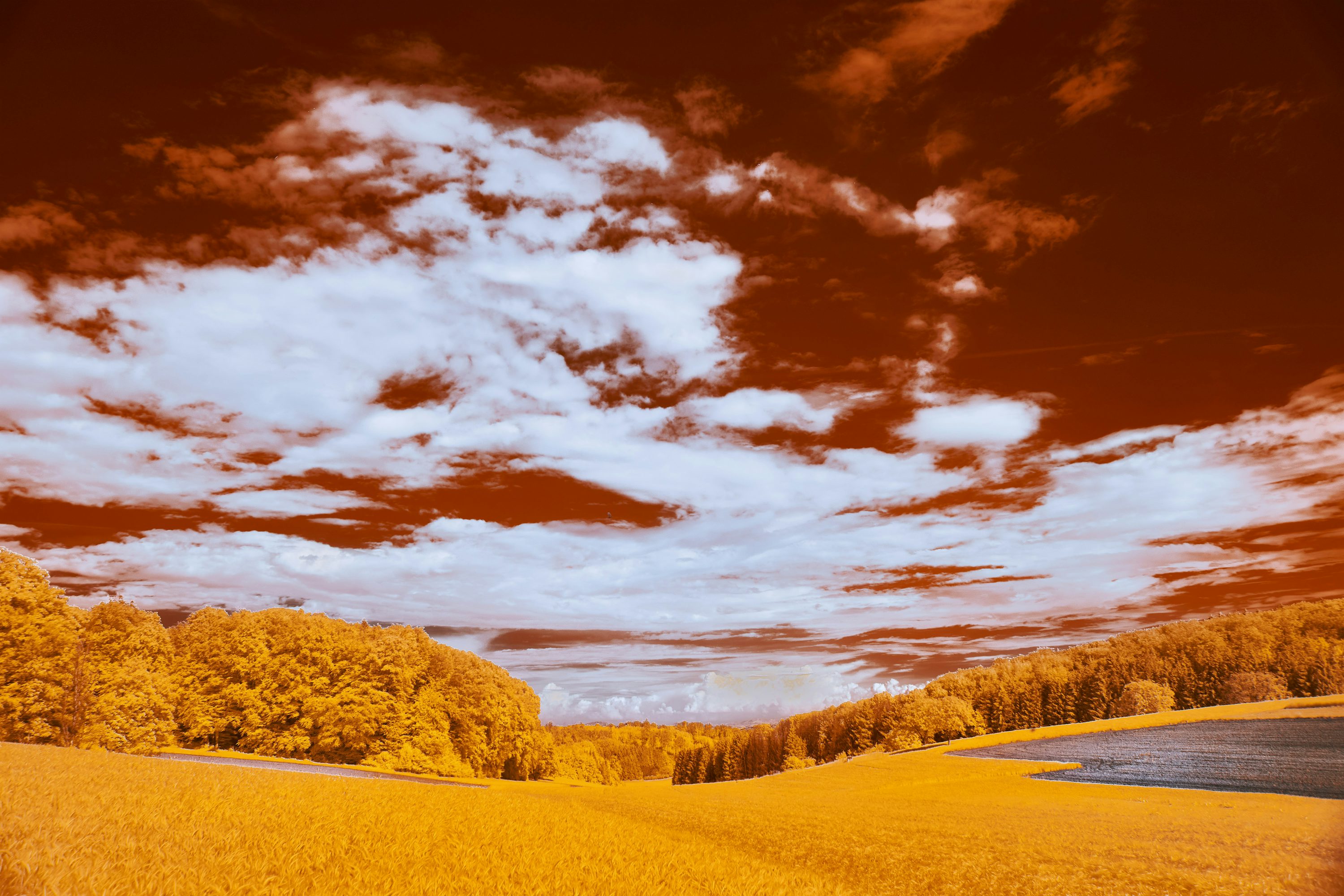 Autumn Field Sunset Wallpapers - Wallpaper Cave