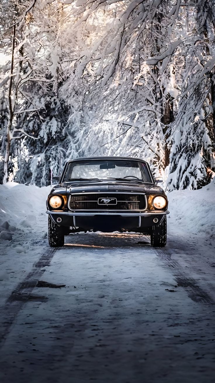 Ford Mustang Winter Wallpapers - Wallpaper Cave