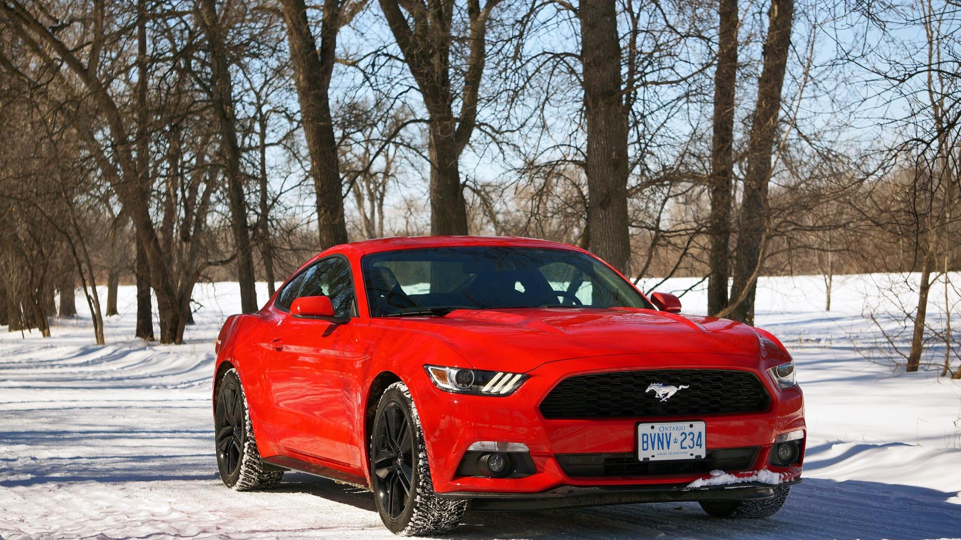 Ford Mustang Winter Wallpapers - Wallpaper Cave