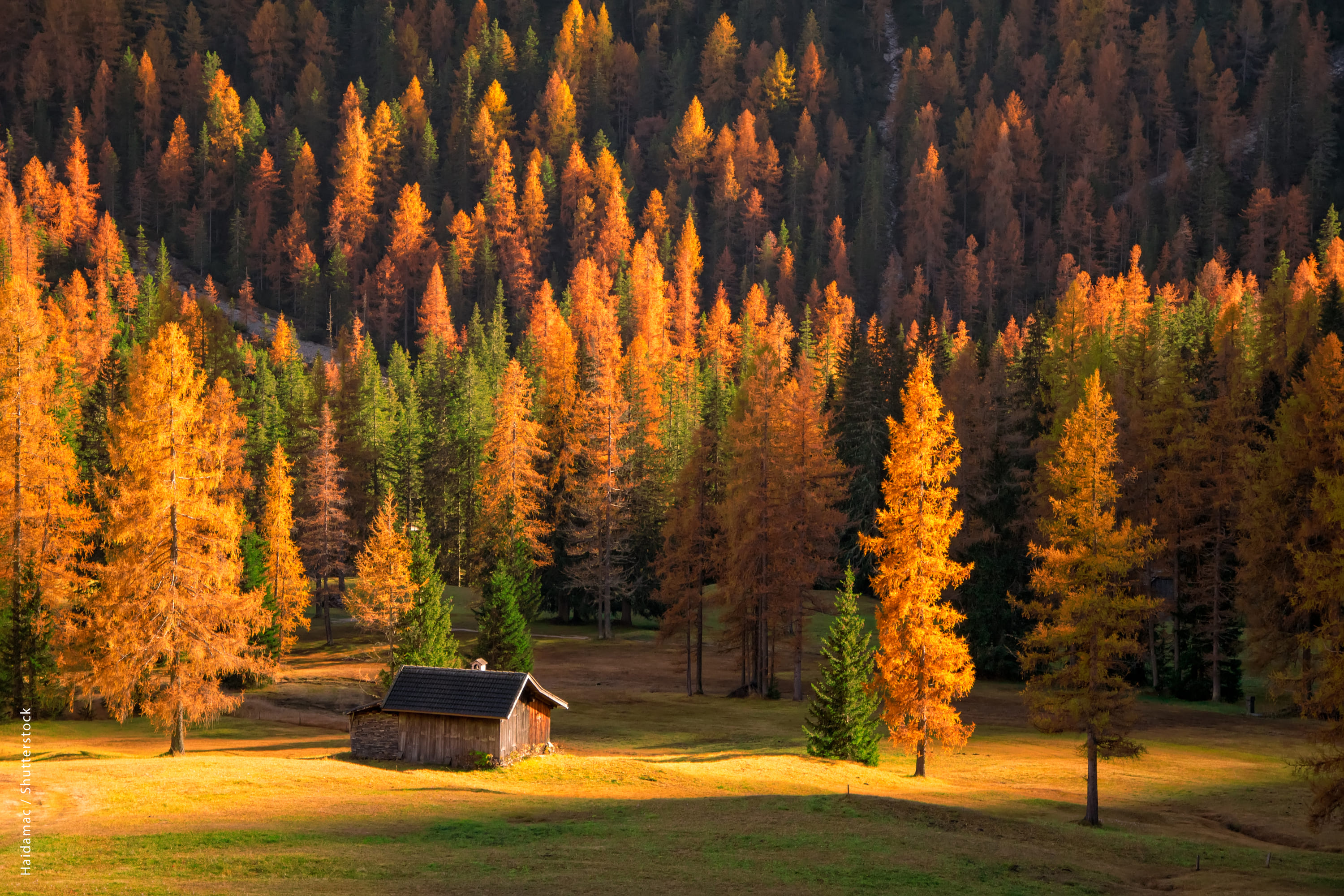 3000x2000 Autumn Wallpapers - Wallpaper Cave