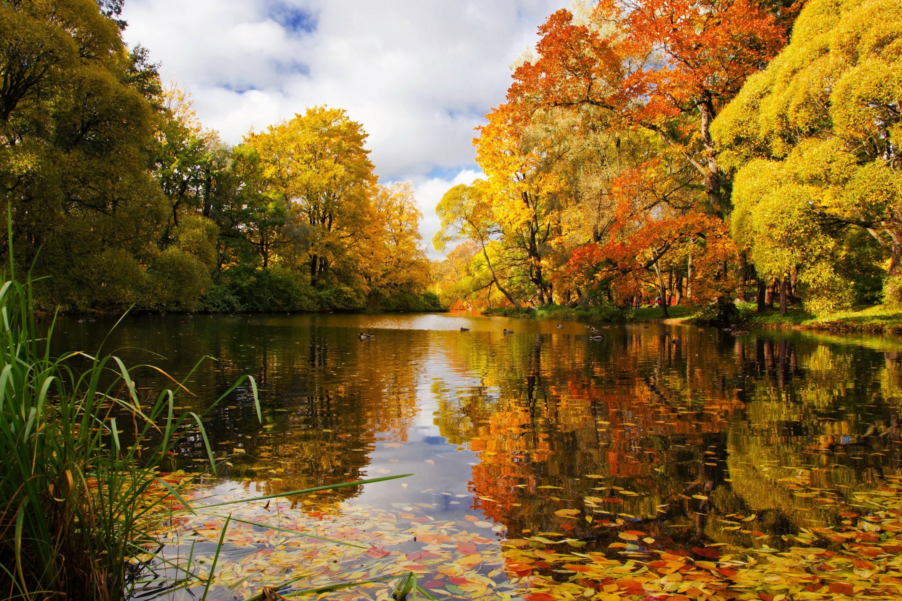 3000x2000 Autumn Wallpapers - Wallpaper Cave