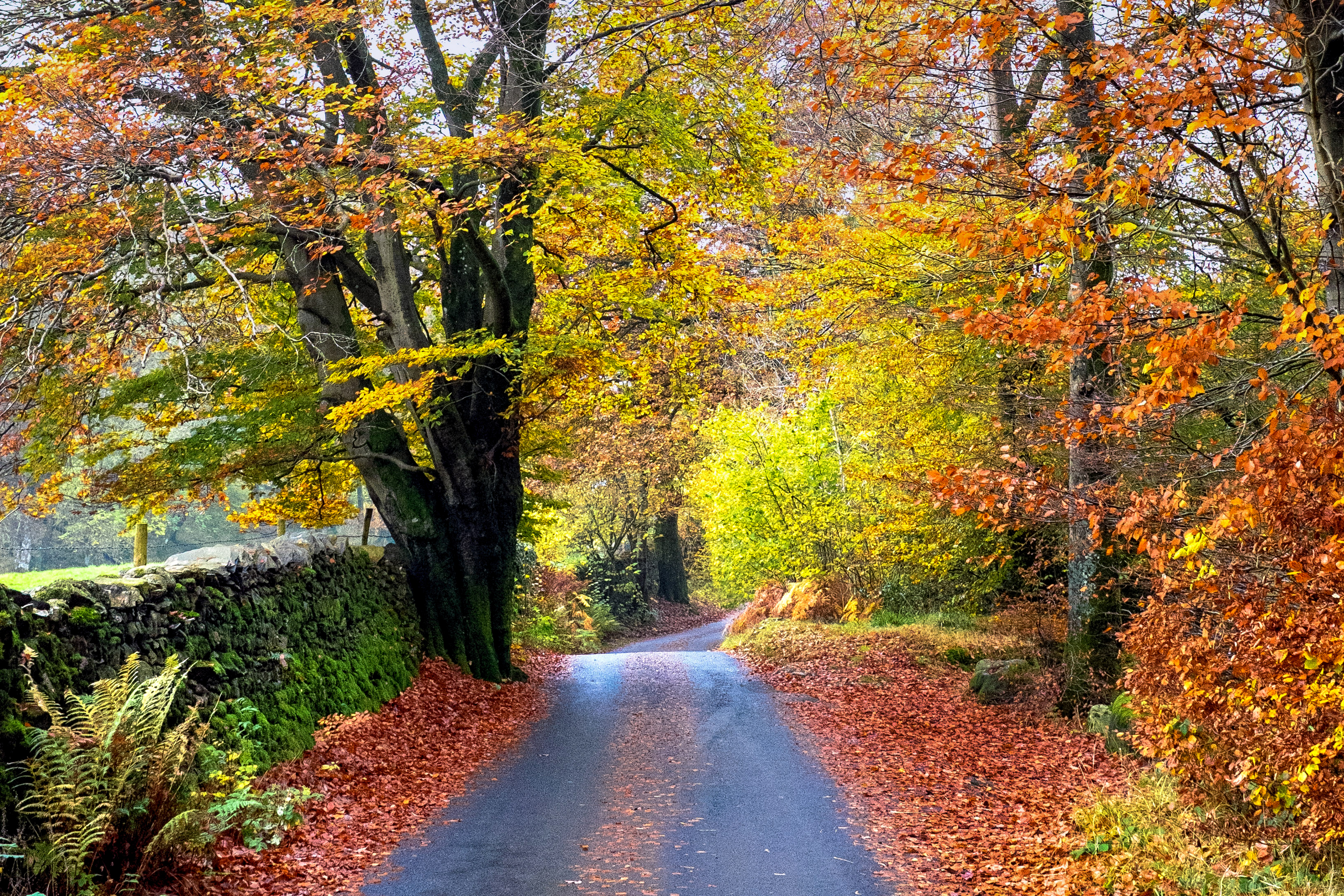 3000x2000 Autumn Wallpapers - Wallpaper Cave