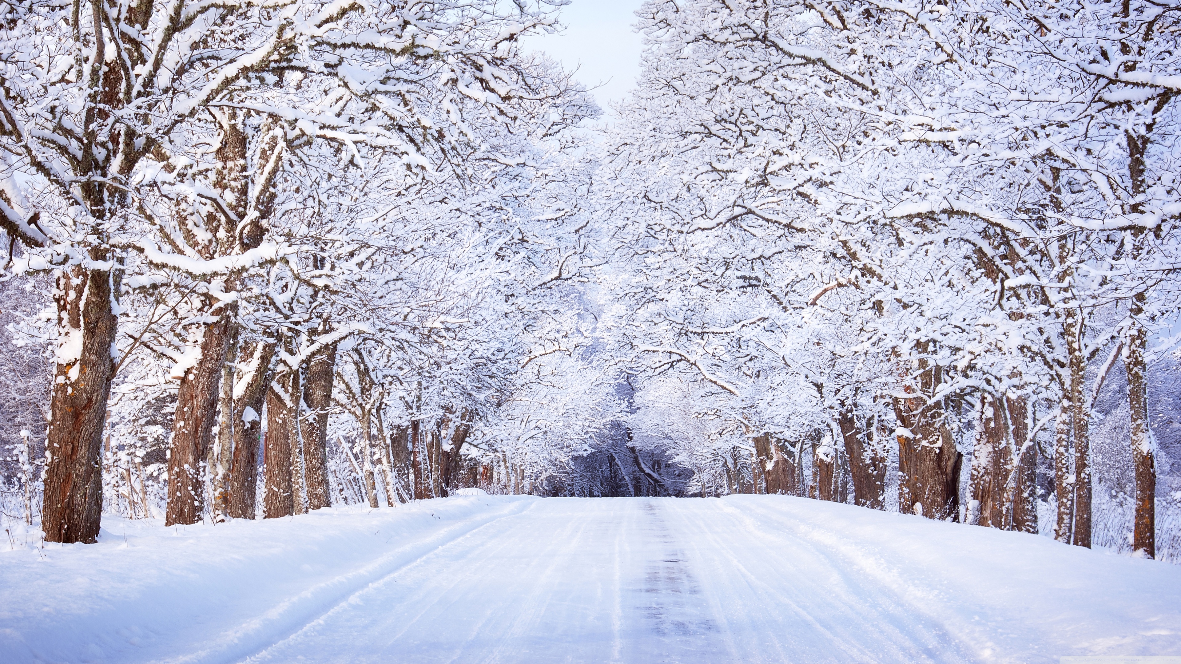 4k Road Winter Wallpapers - Wallpaper Cave