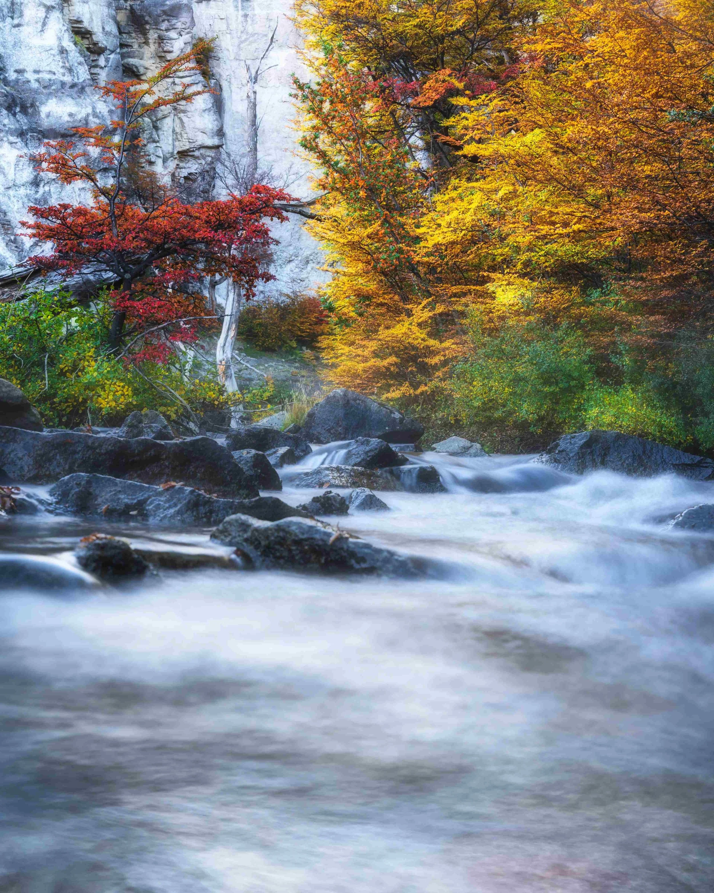 Autumn Patagonia Wallpapers - Wallpaper Cave