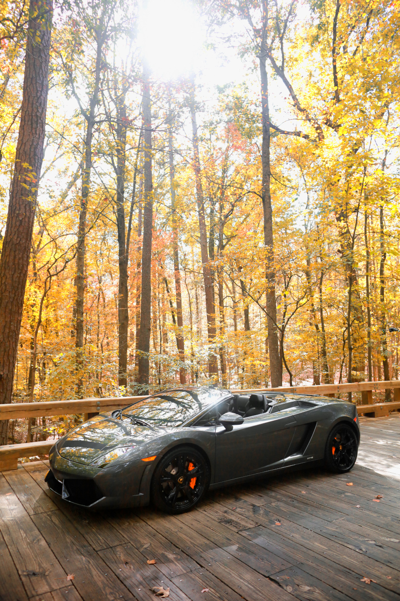 Lamborghini Autumn Wallpapers - Wallpaper Cave