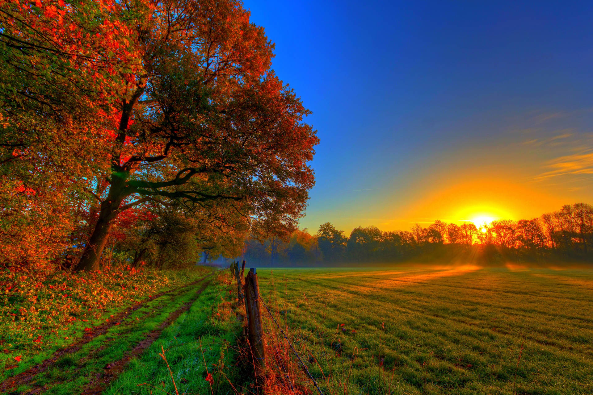 Autumn Field Sunset Wallpapers - Wallpaper Cave