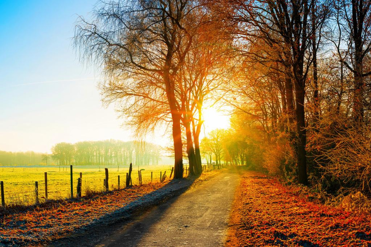 Autumn Field Sunset Wallpapers - Wallpaper Cave