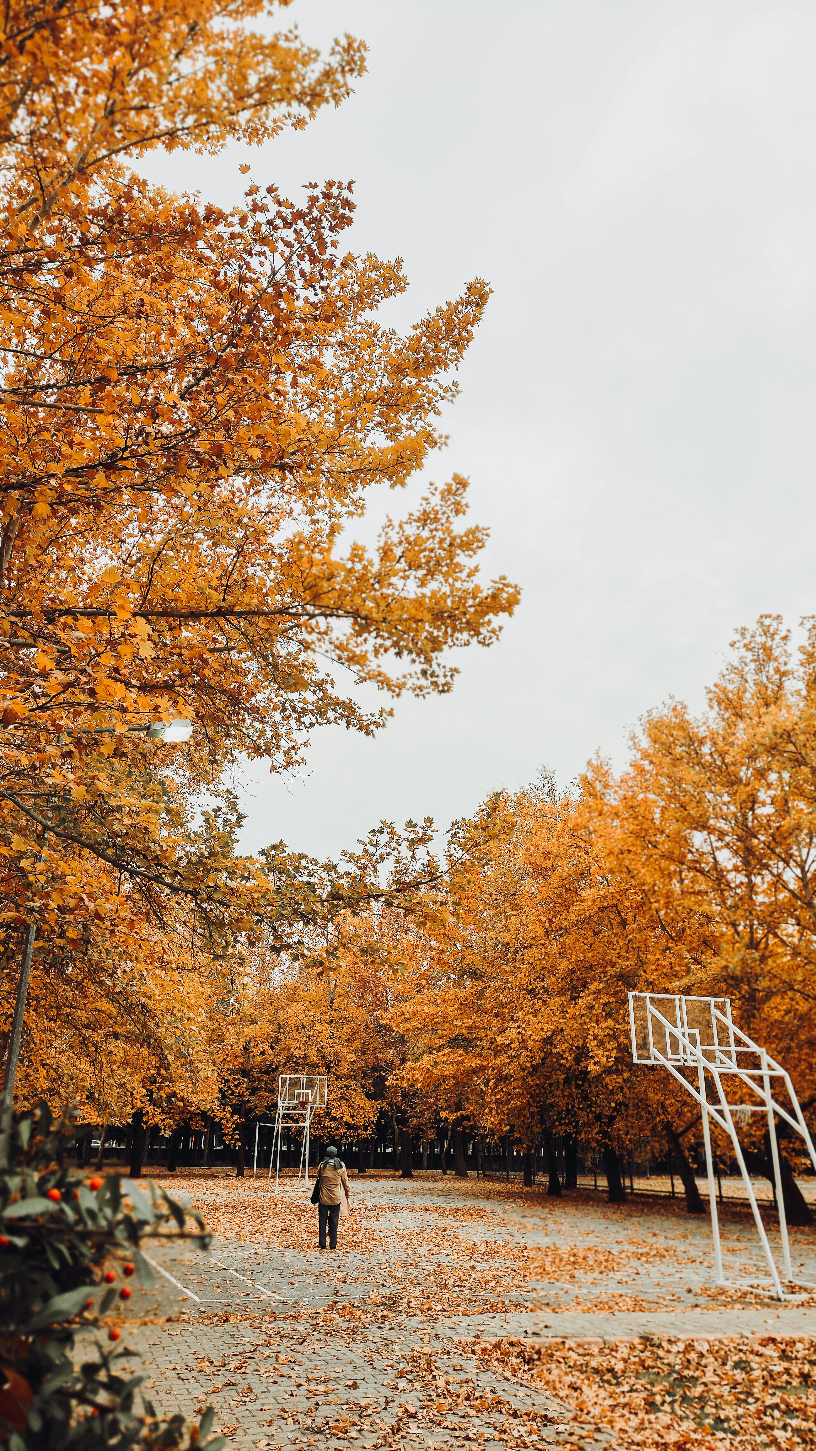 Autumn Park Walk Wallpapers - Wallpaper Cave
