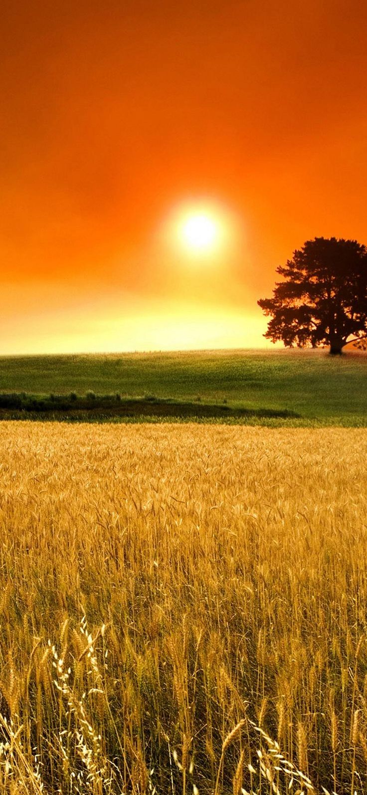 Autumn Field Sunset Wallpapers - Wallpaper Cave