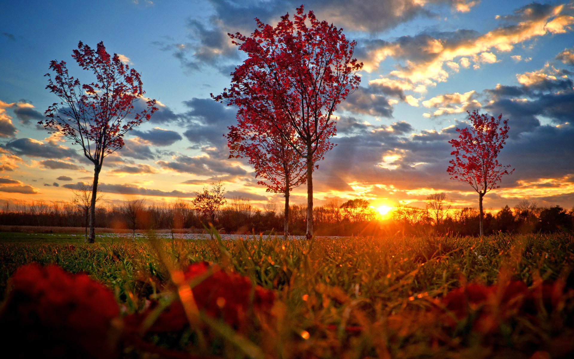 Autumn Field Sunset Wallpapers - Wallpaper Cave