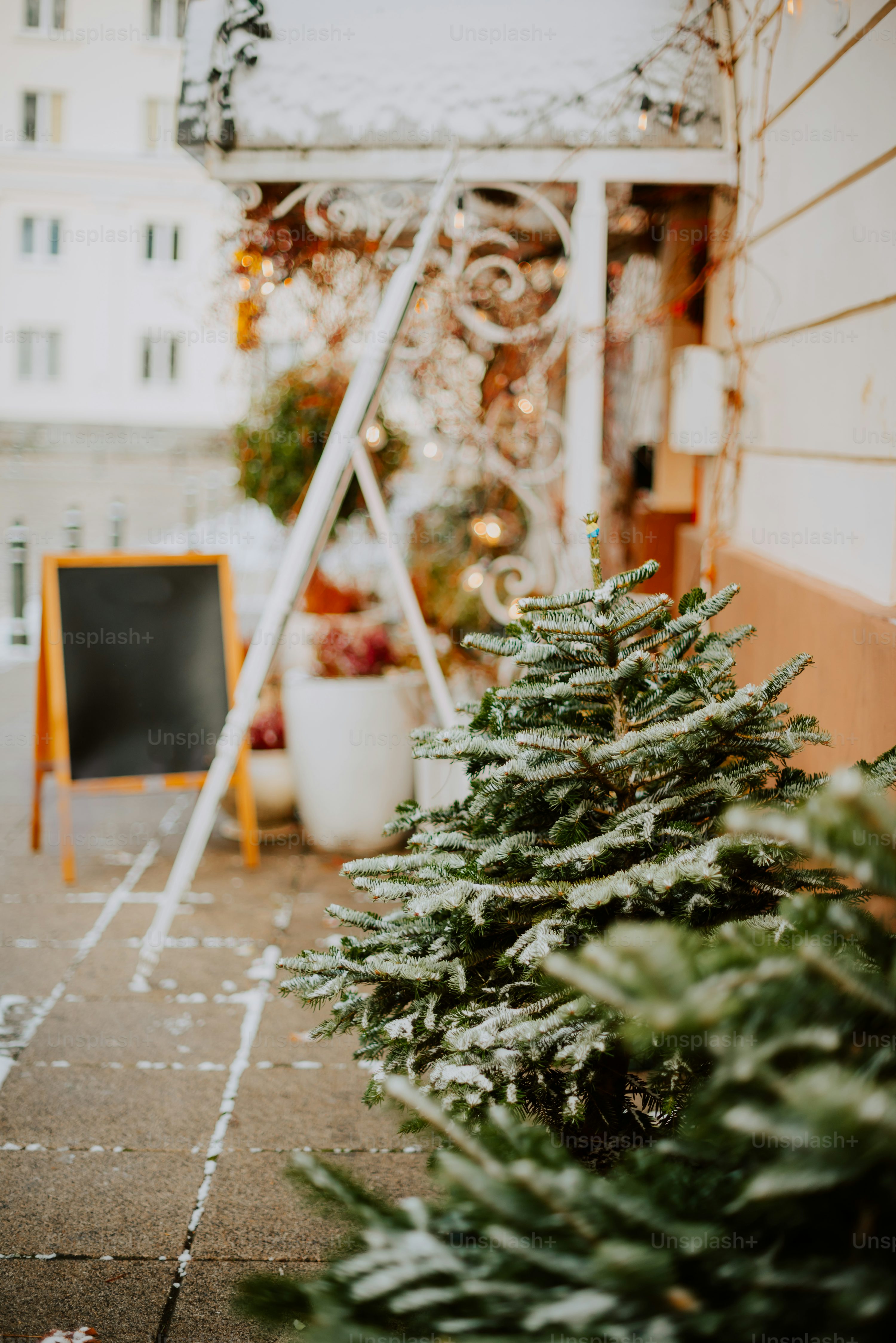Little Christmas Trees Wallpapers - Wallpaper Cave