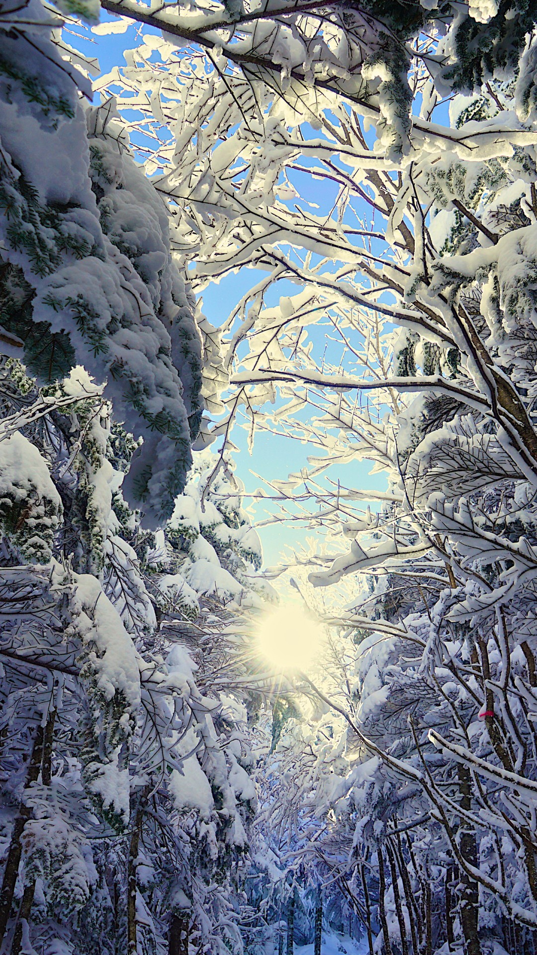 Android Winter View Wallpapers - Wallpaper Cave