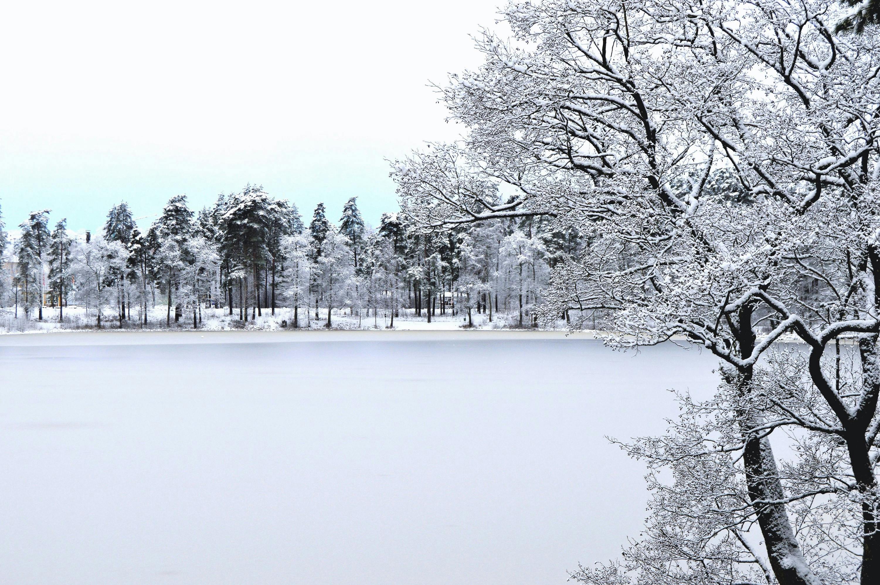 Pretty Winter Scenes Wallpapers - Wallpaper Cave